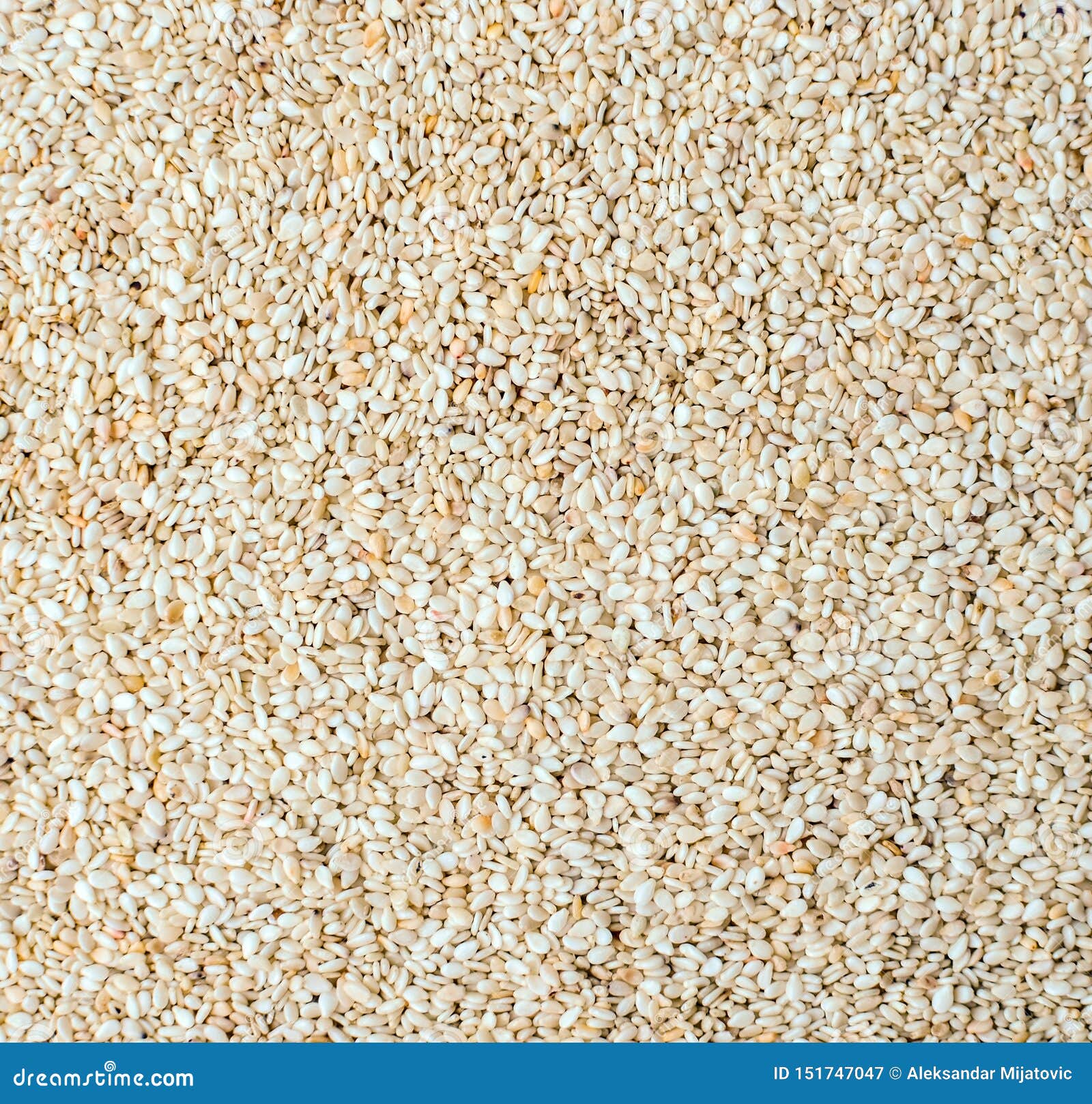 Sesame seeds texture stock image. Image of plant, gourmet - 151747047