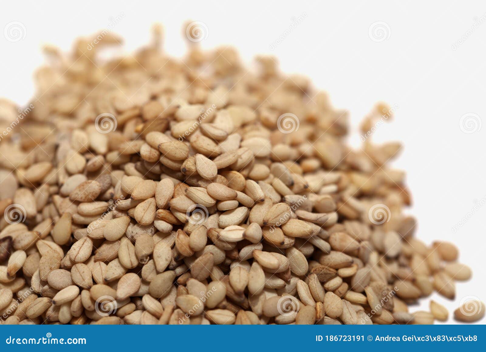 Sesame Seeds on a White Background Stock Image - Image of nature ...