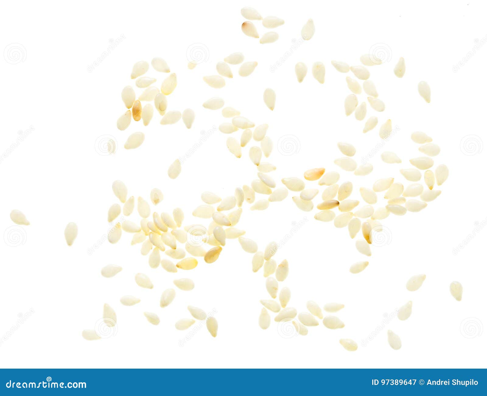 Sesame Seeds on White Background Stock Image - Image of grain ...