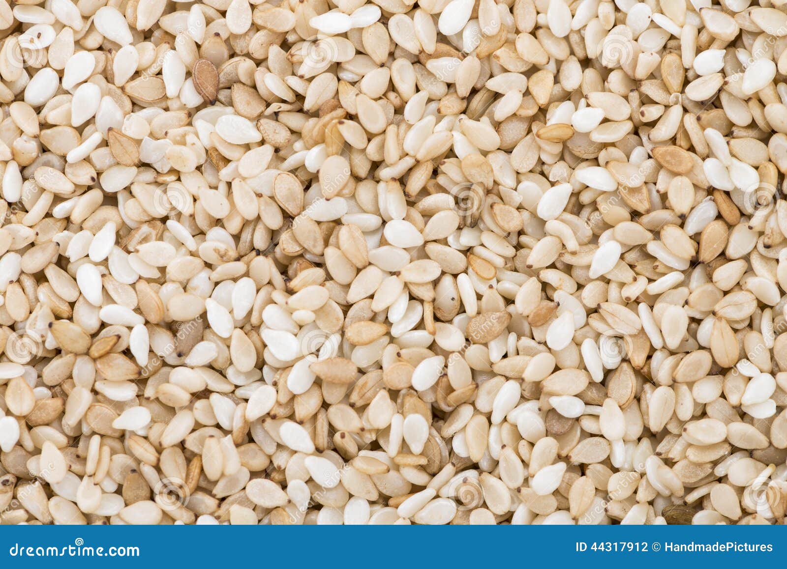 Sesame Texture stock photo. Image of delicious, healthy - 44317912