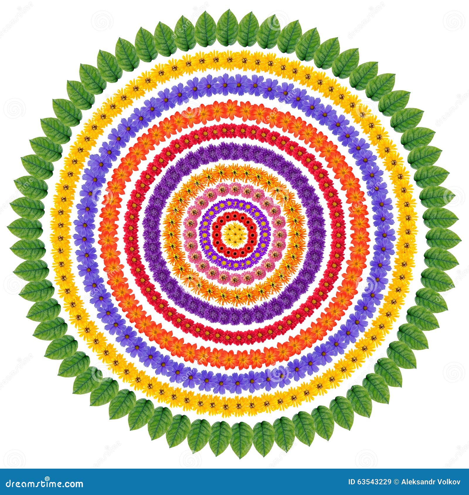 Set of Abstract Floral Circles Stock Image - Image of leaves ...