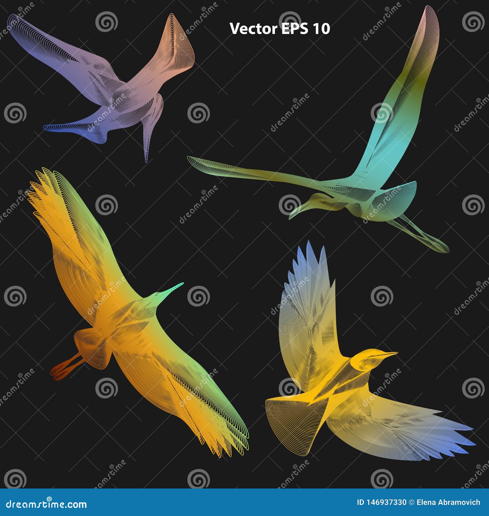 Set of Abstract Flying Birds on Dark Background, Isilated Stock Vector ...