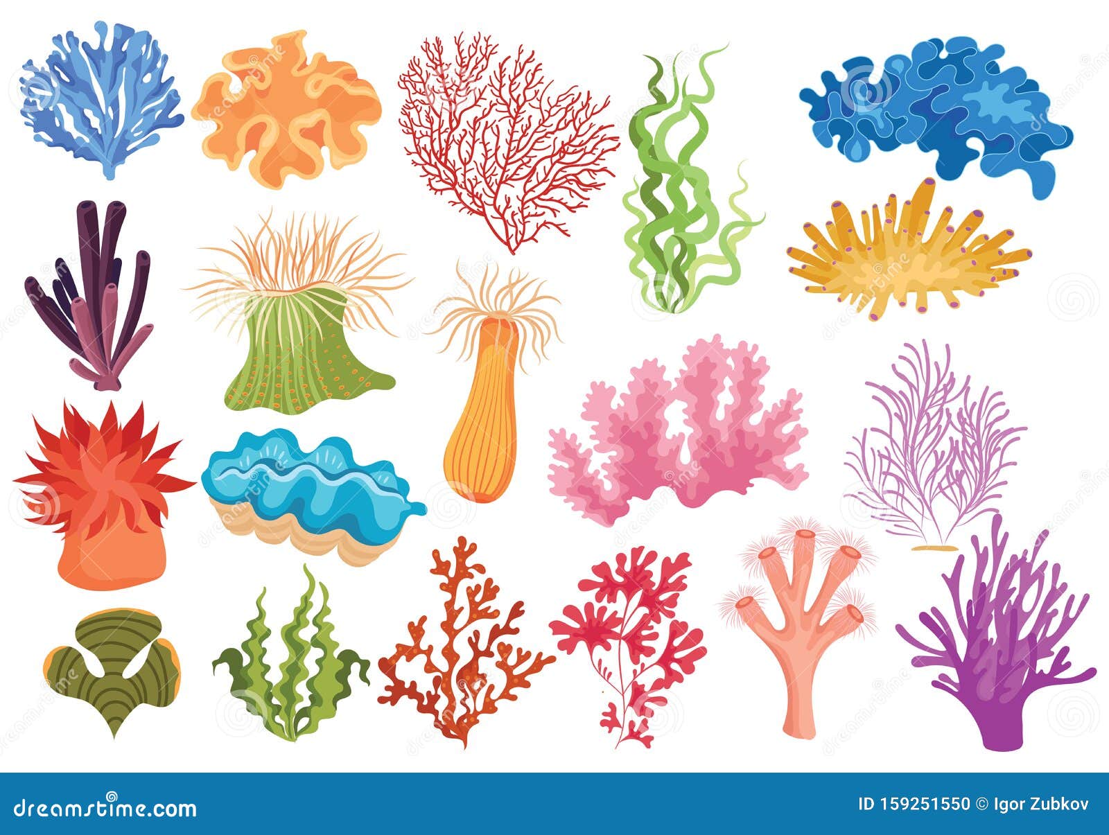 Set Of Algae. Collection Of Cartoon Algae. Vector Illustration For ...