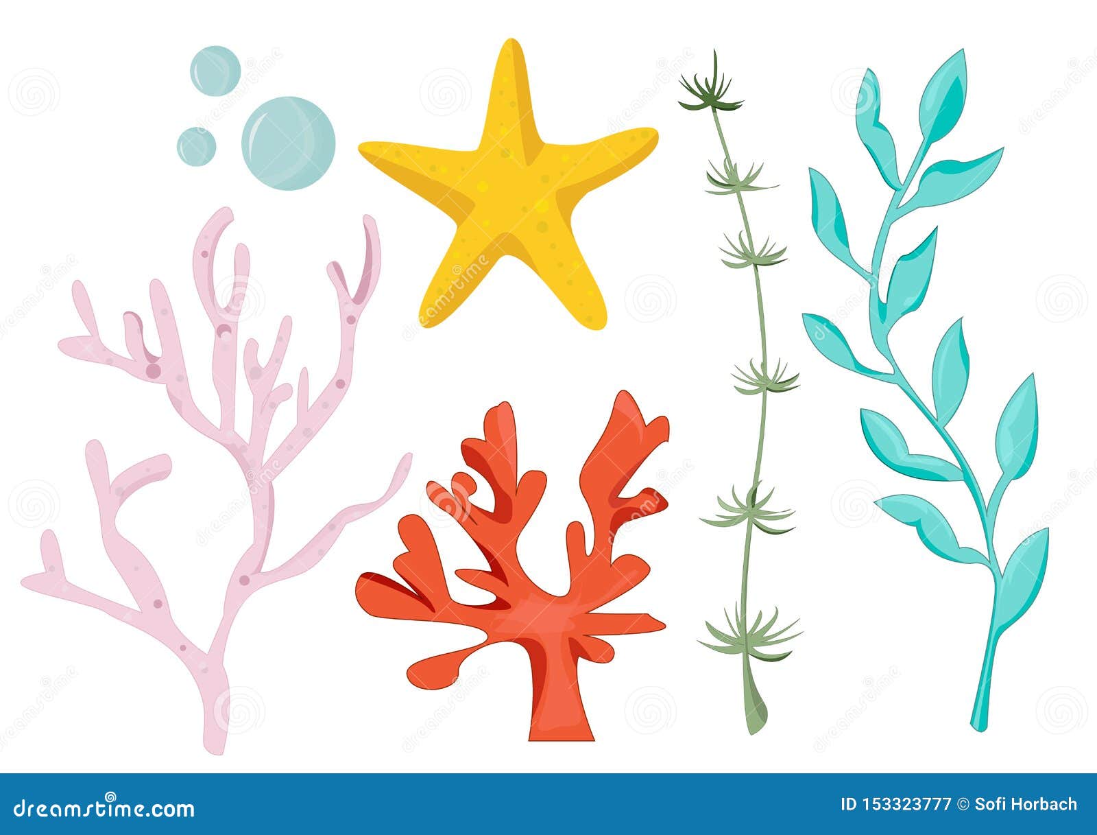 Set Of Algae. Collection Of Cartoon Algae. Vector Illustration For ...