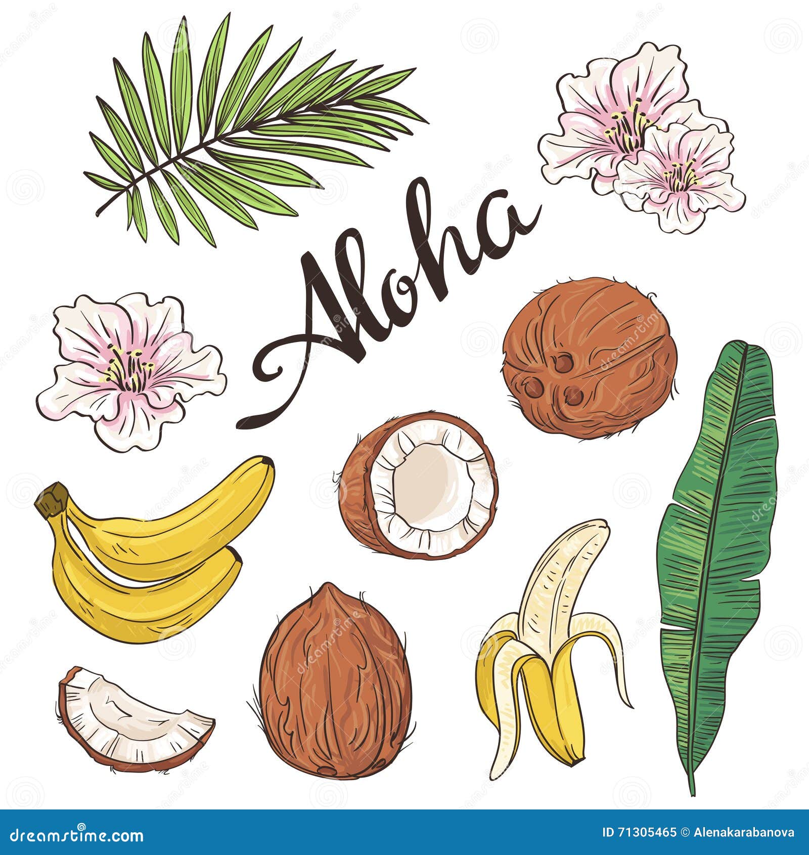 Set of Aloha Objects - Coconut, Banana, Flowers and Leaves. Stock ...