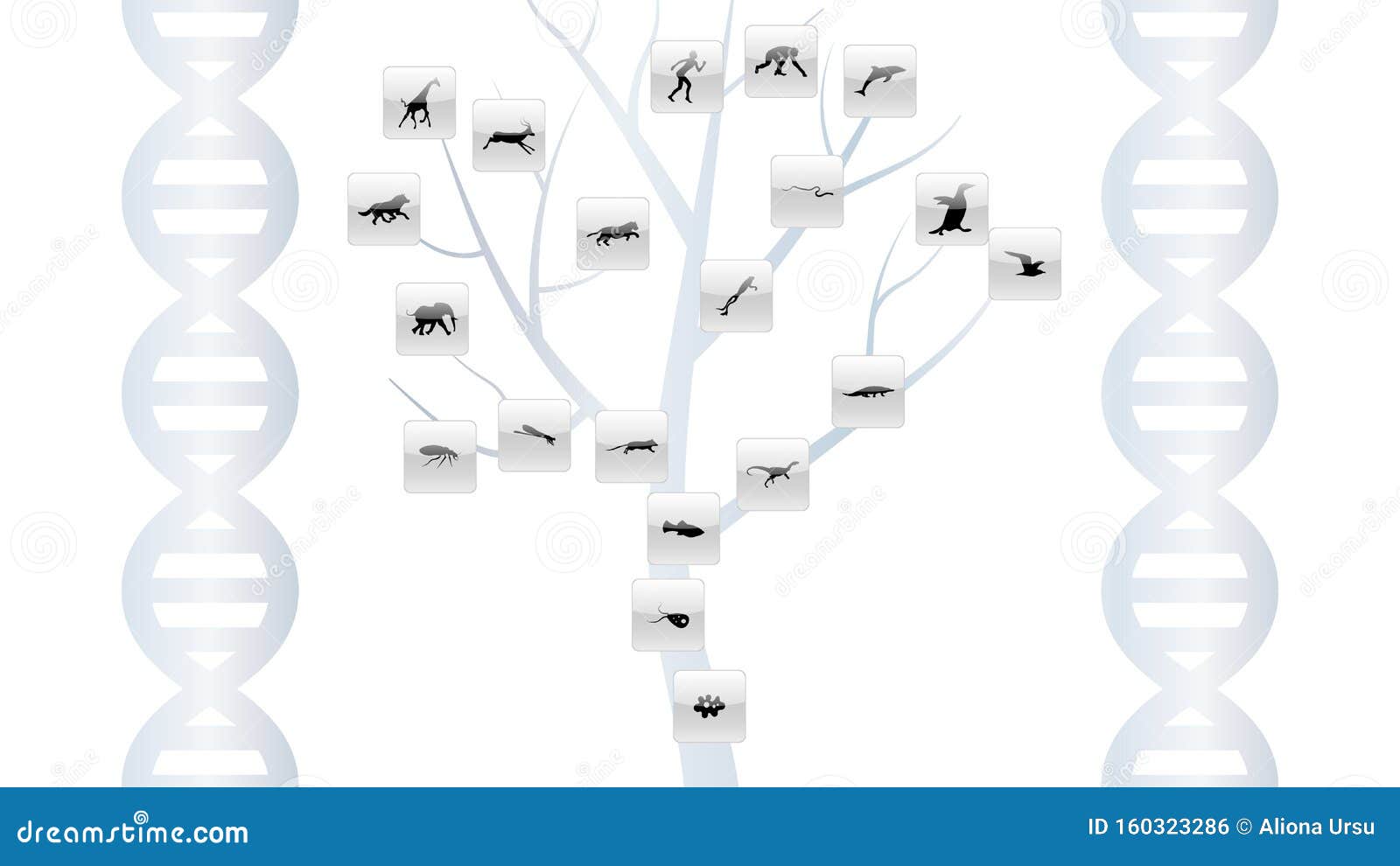 Evolution Tree Illustration Cartoon Vector | CartoonDealer.com #160323289