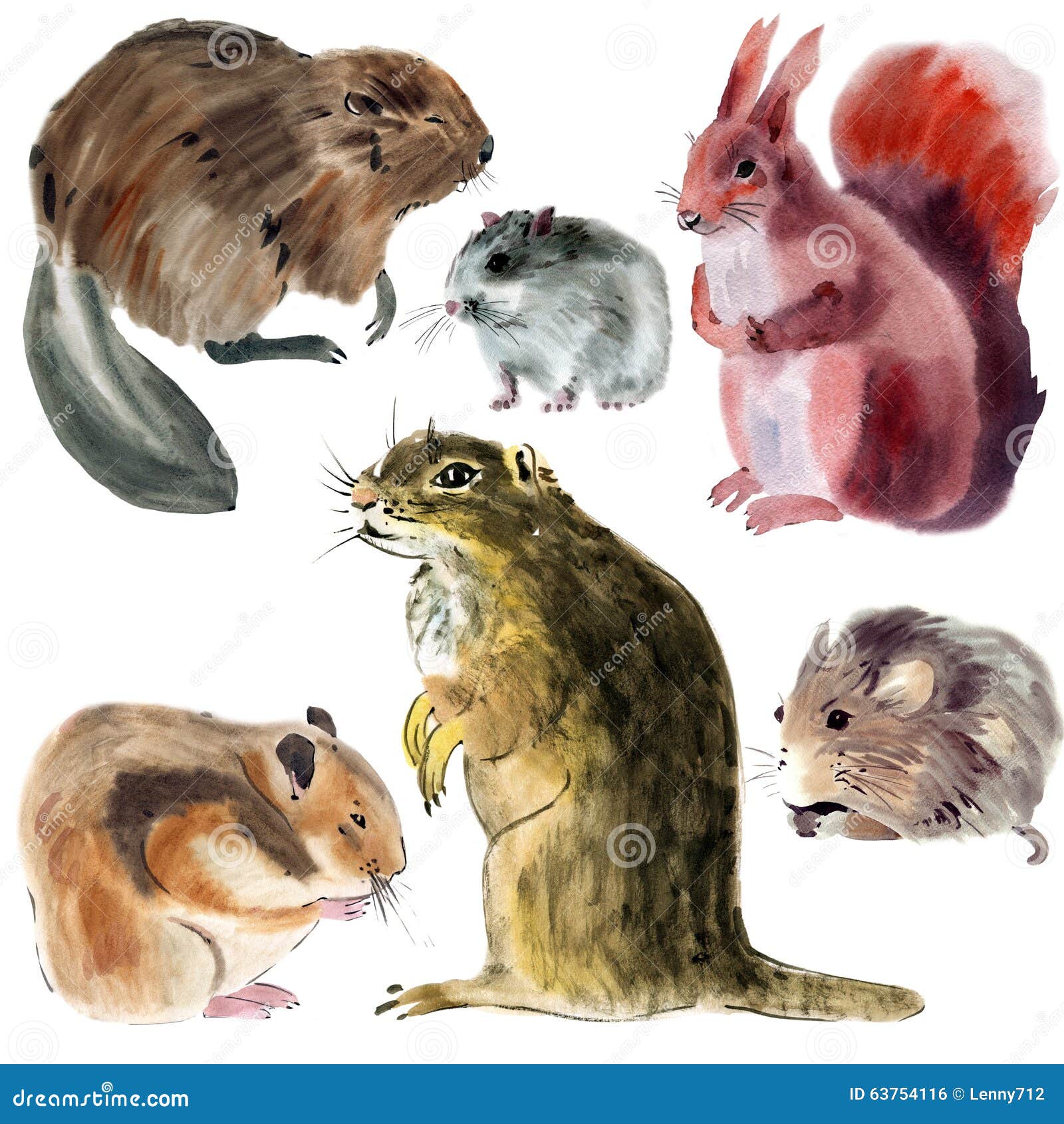 Gopher Watercolor Stock Illustrations – 97 Gopher Watercolor Stock ...