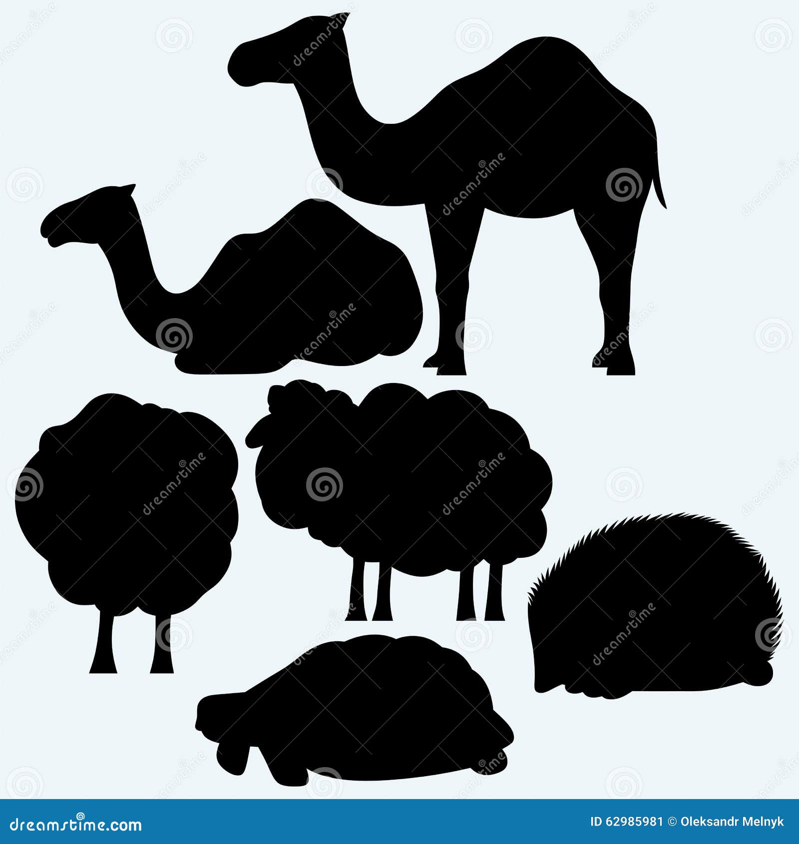 Set Of Animals. Turtle, Camels, Sheep And Hedgehog Cartoon Vector ...