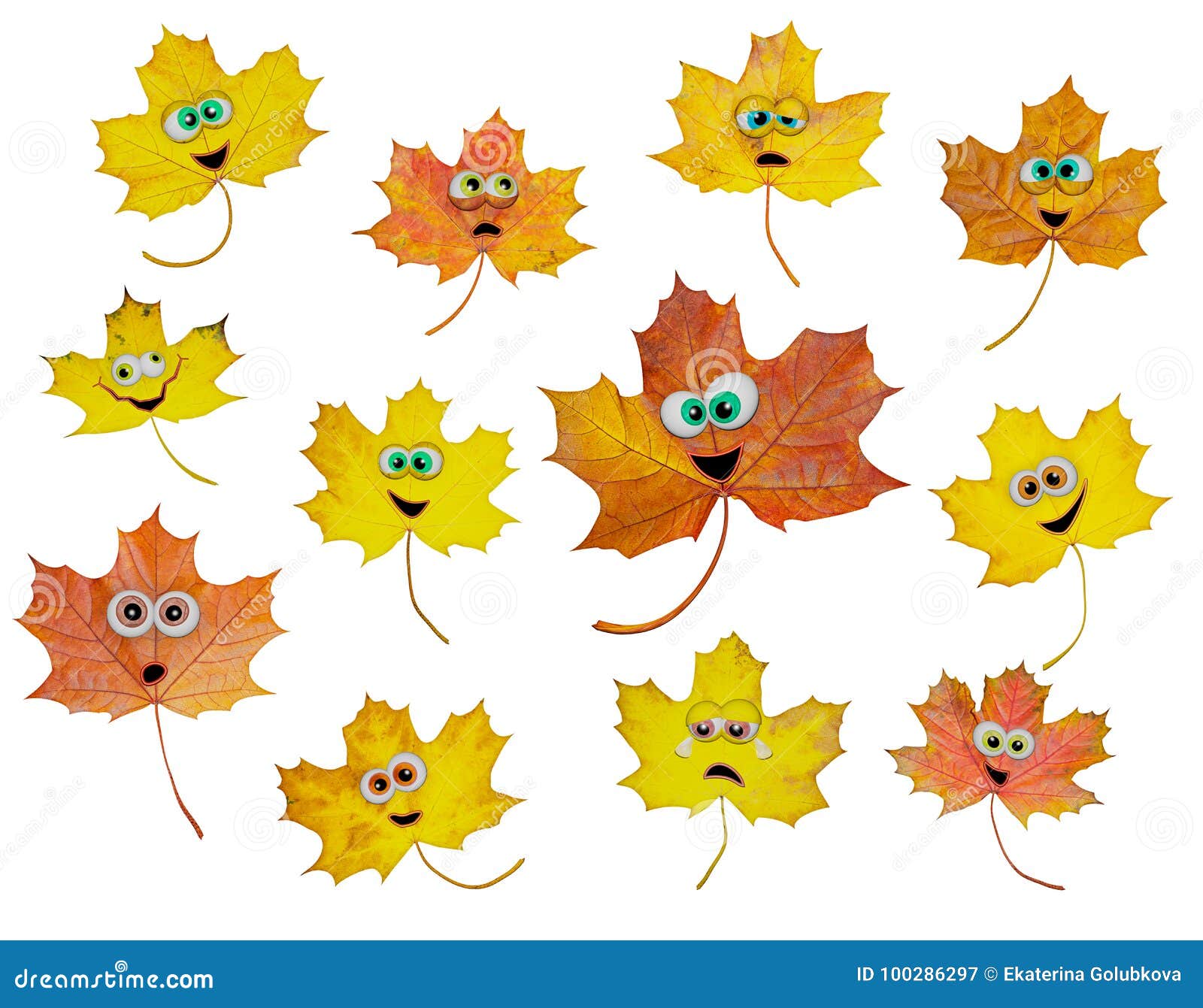 Set of Animated Maple Leaves Stock Illustration - Illustration of ...