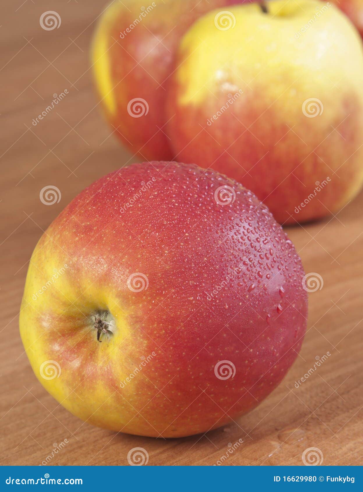 A set of apples stock photo. Image of apple, fruit, diet - 16629980