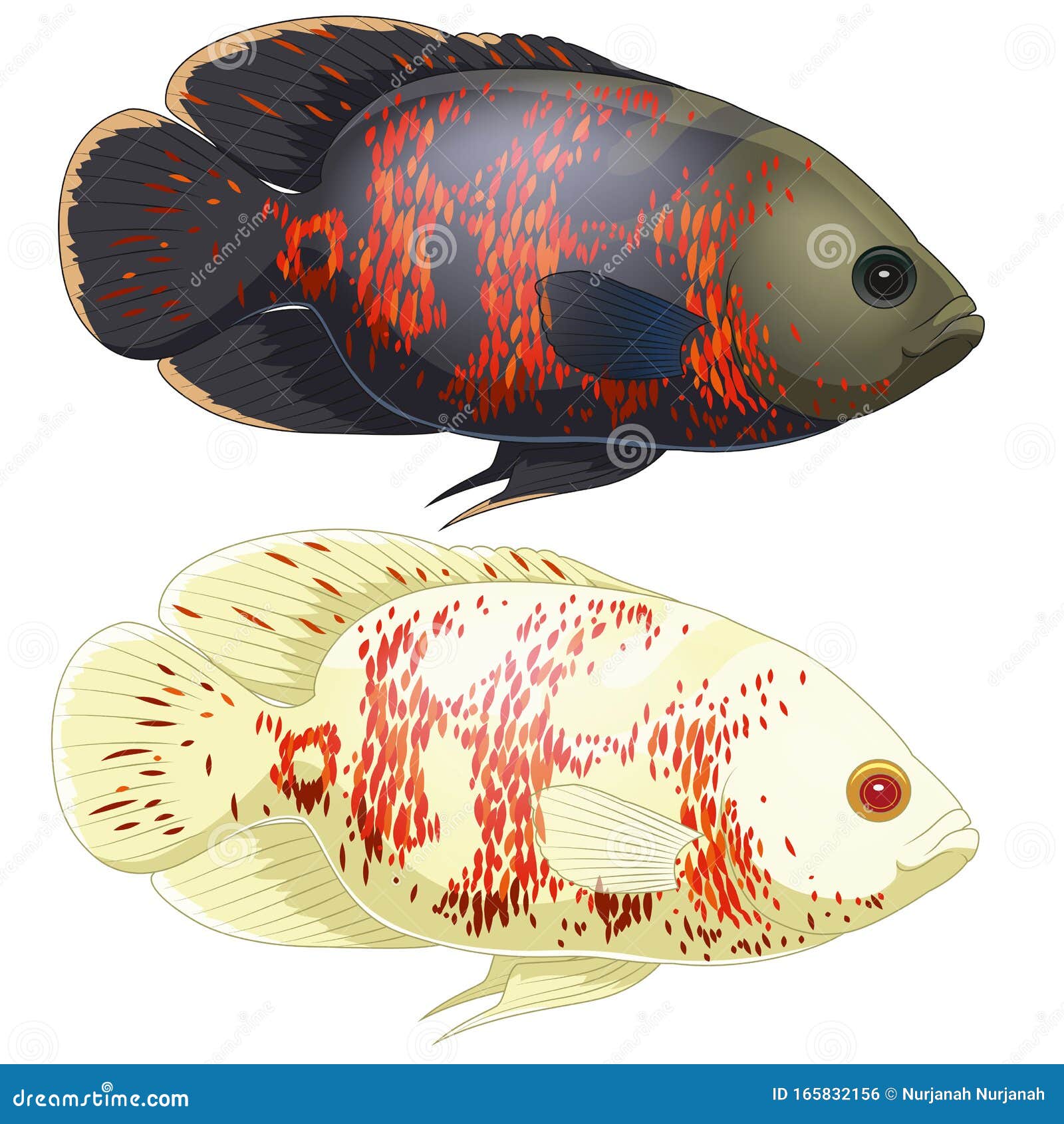 Oscar Wild Stock Illustrations – 28 Oscar Wild Stock Illustrations ...