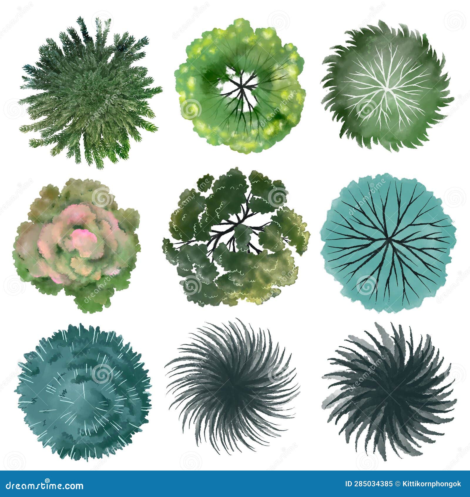 Set of Architectural Plans Trees Isolated on White Background. Bushes ...