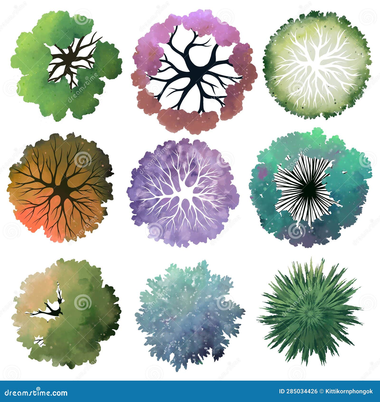 Set of Architectural Plans Trees Isolated on White Background. Bushes ...