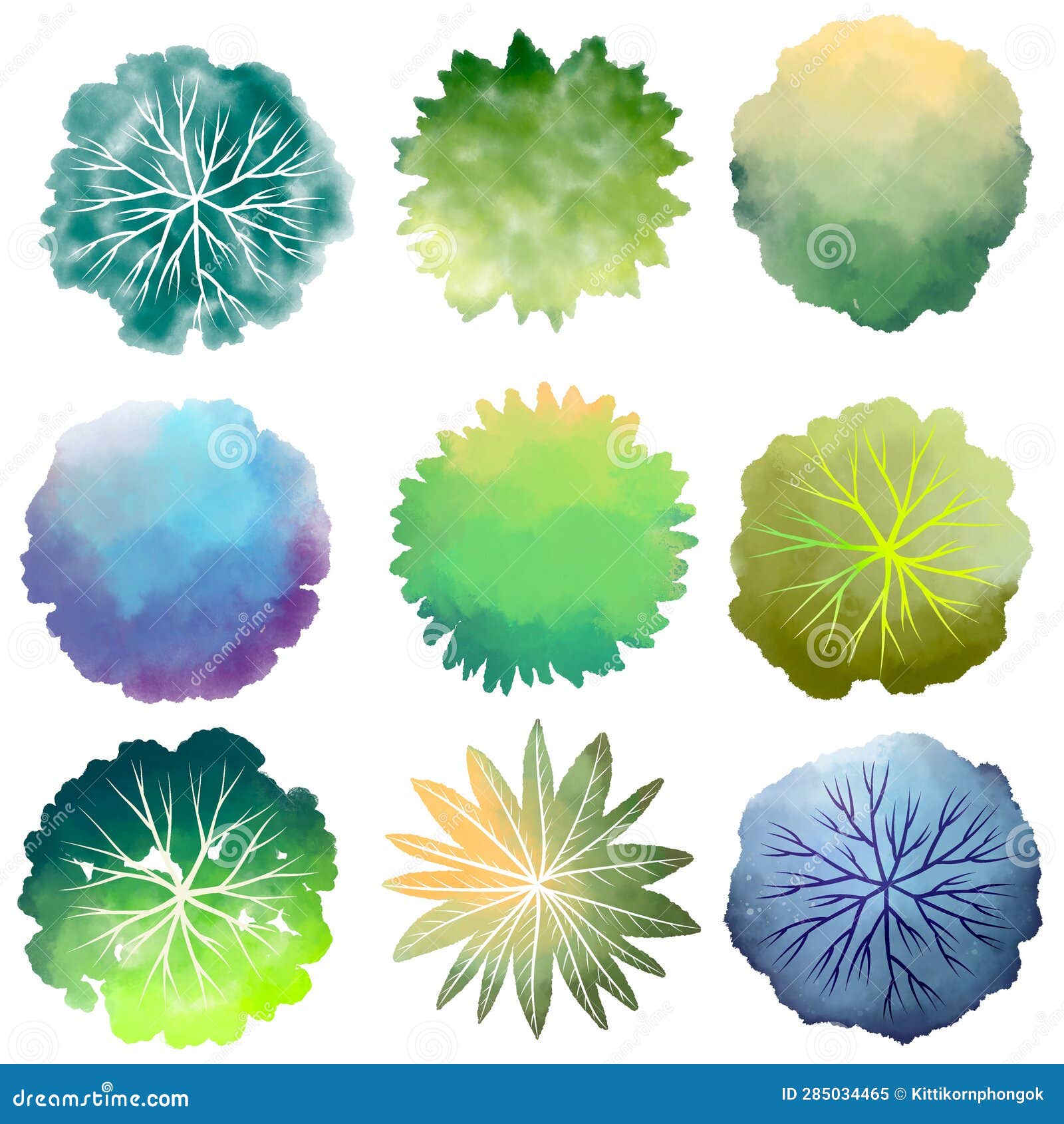 Set of Architectural Plans Trees Isolated on White Background. Bushes ...