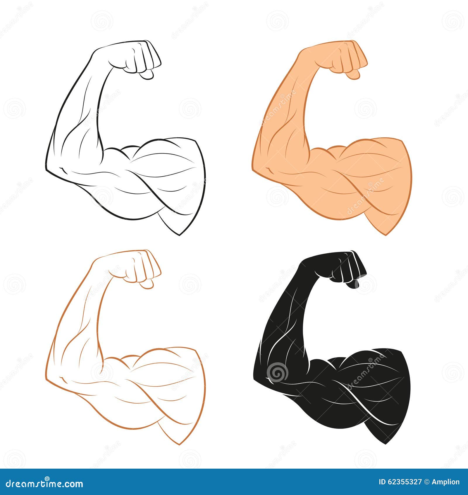 Arm Muscle Drawing