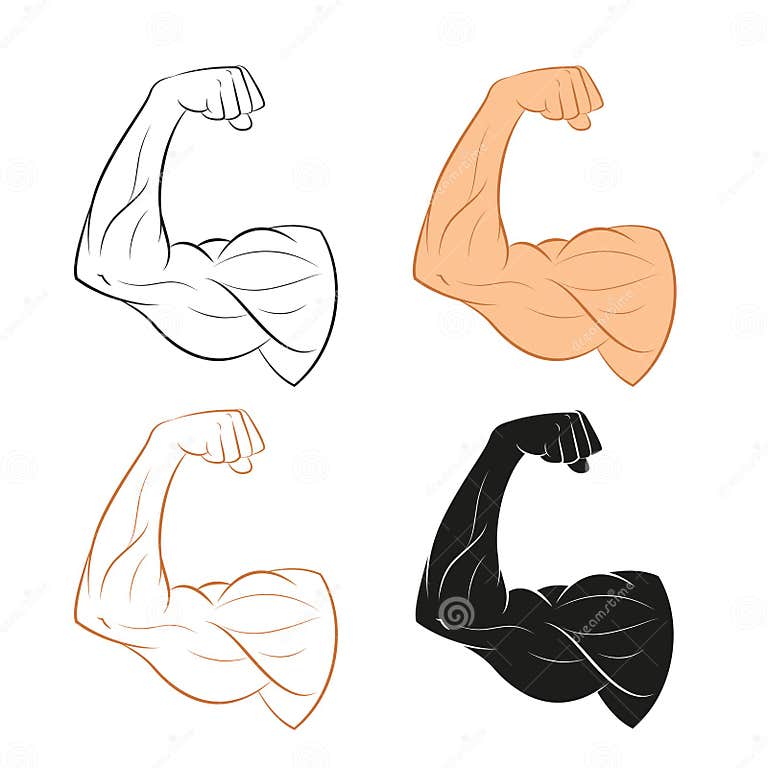 Set of Arm stock vector. Illustration of bicep, exercise - 62355327