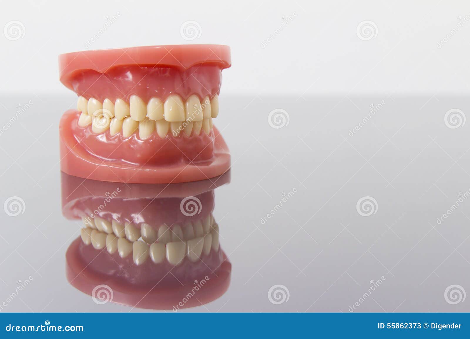 Set of Artificial False Teeth Stock Image - Image of full, tooth: 55862373
