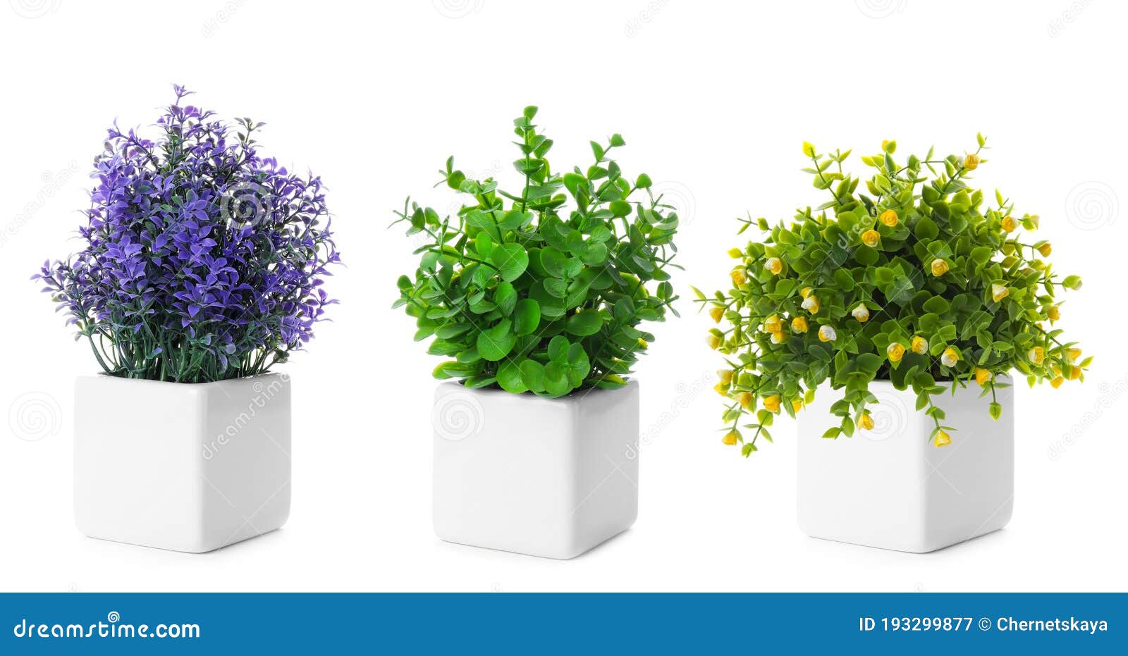 Set of Artificial Plants in Flower Pots Isolated. Banner Design Stock ...