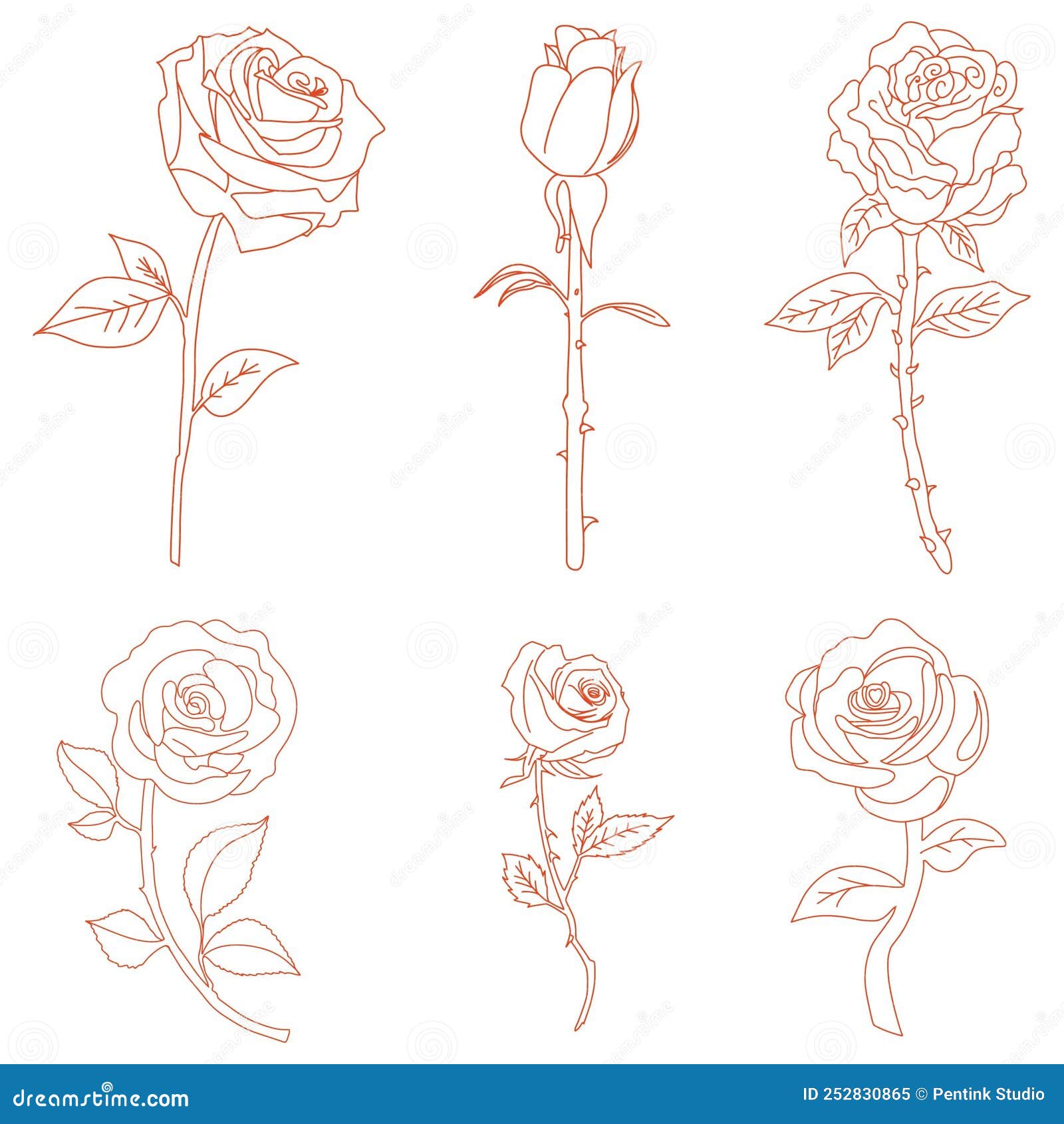 Set Artwork Vector Rose Line Art Illustration Stock Vector ...
