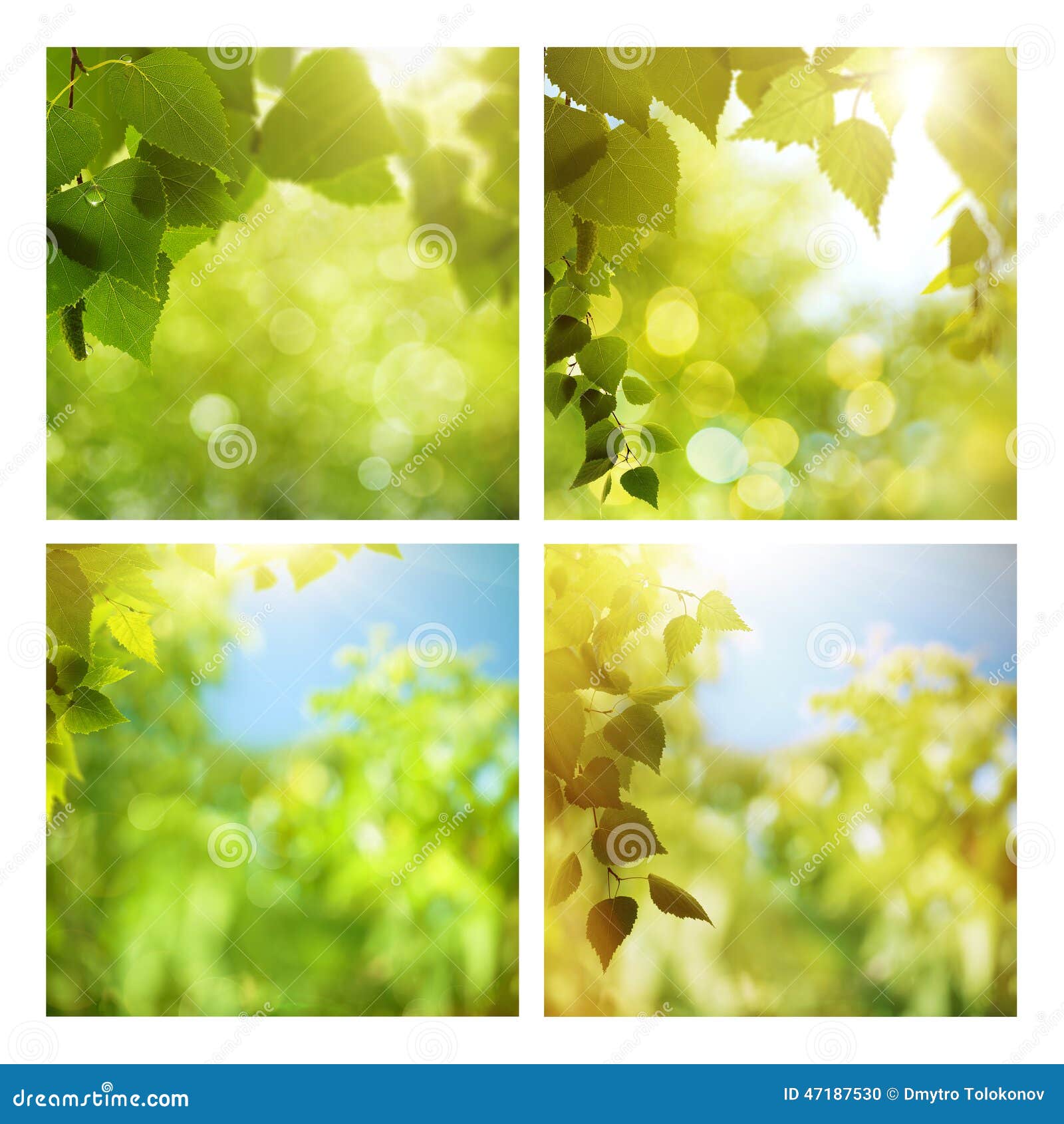 Set of Assorted Summer Backgrounds Stock Photo - Image of idyllic ...