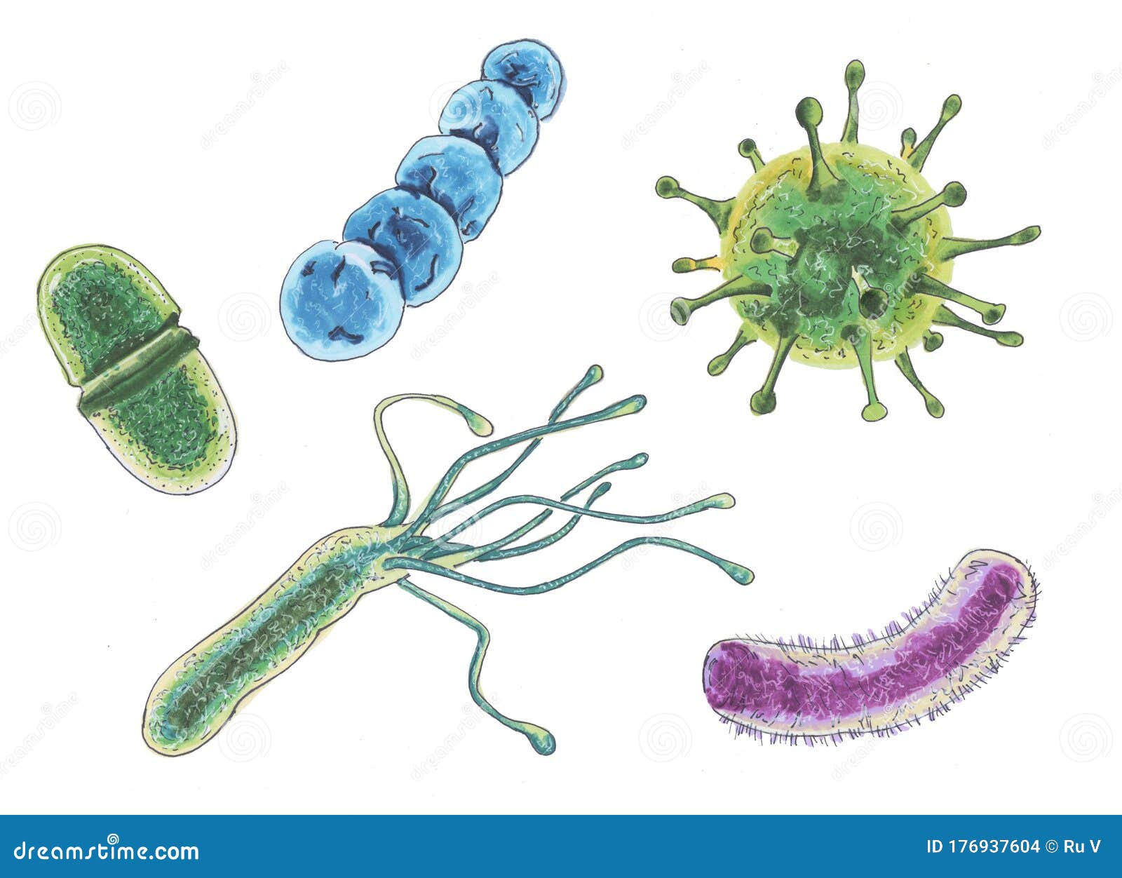 Set of Atoms and Molecules, Viruses, Marker Style. Stock Illustration ...