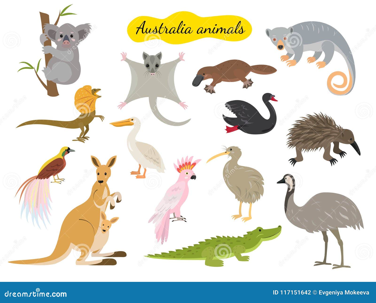 Set of Australia Animals on White Background. Stock Vector ...