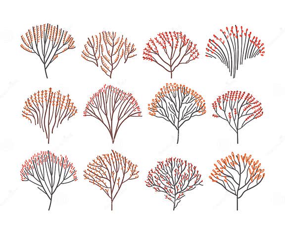 Set of Autumn Deciduous Trees in Line Art Style Stock Vector ... Set of Autumn Deciduous Trees in Line Art Style Stock Vector ...