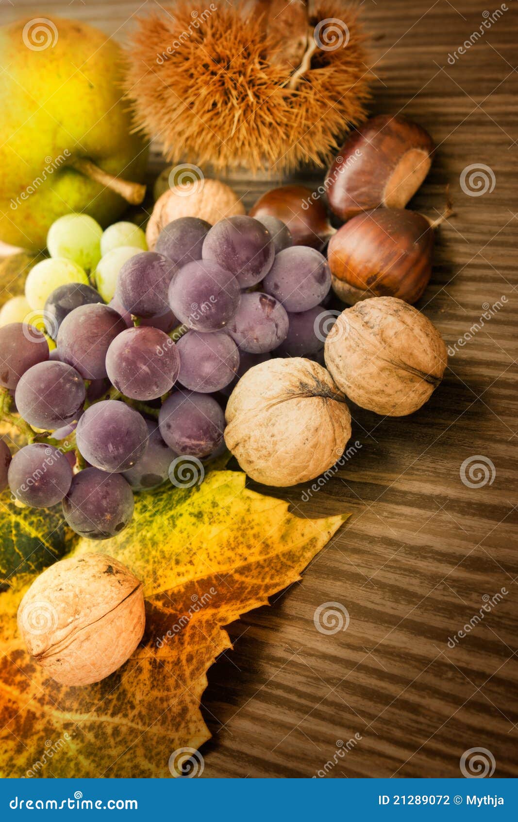 Set of autumn fruit stock photo. Image of edge, green - 21289072