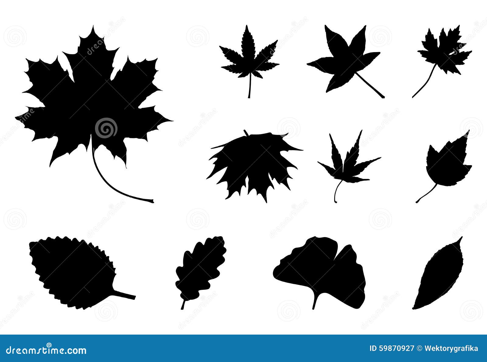 Set of Autumn Leaf Silhouettes, Symbol, Icon. Vector Illustration on ...