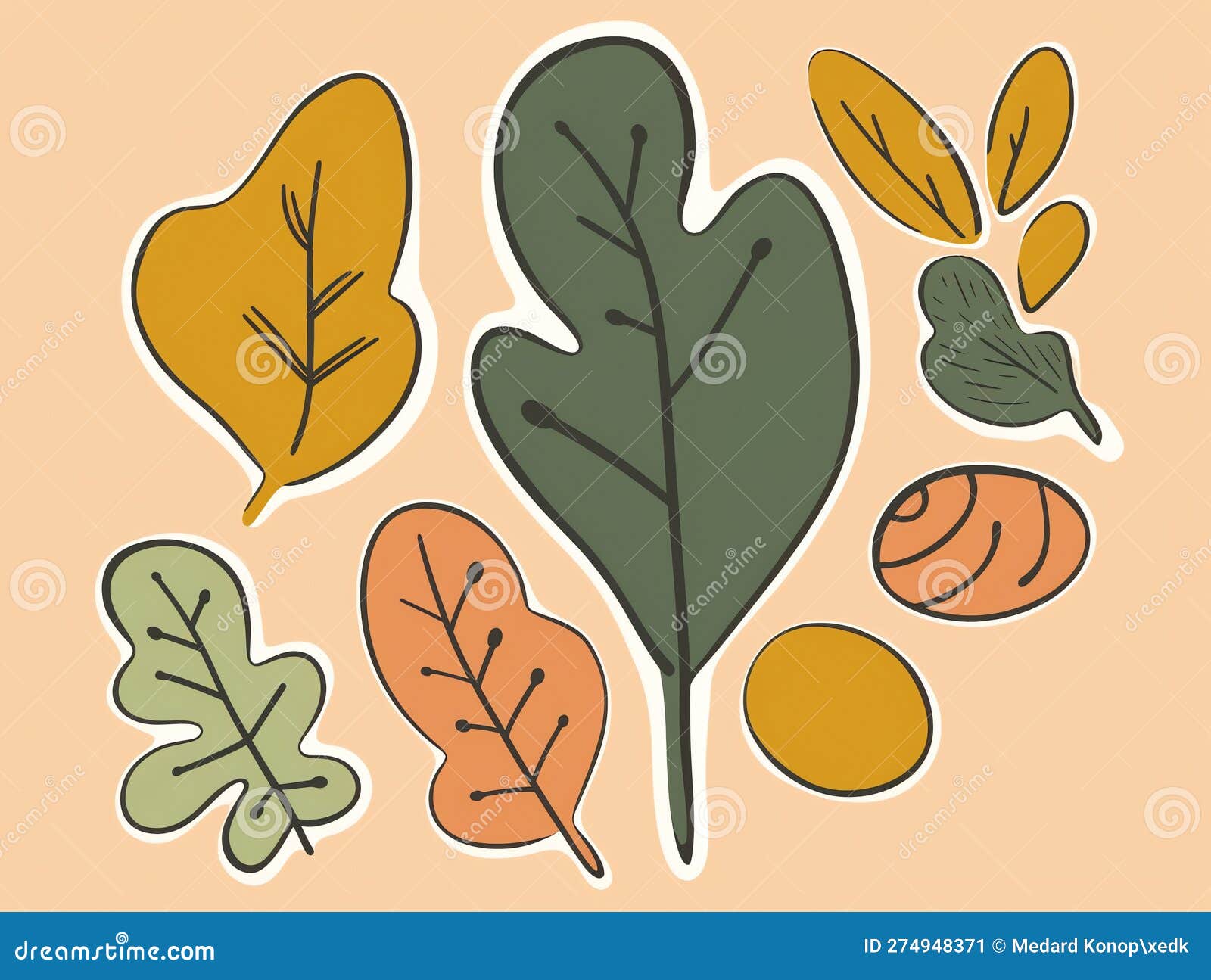 Set of Autumn Leaves in Doodle Style. Vector Illustration. Stock ...