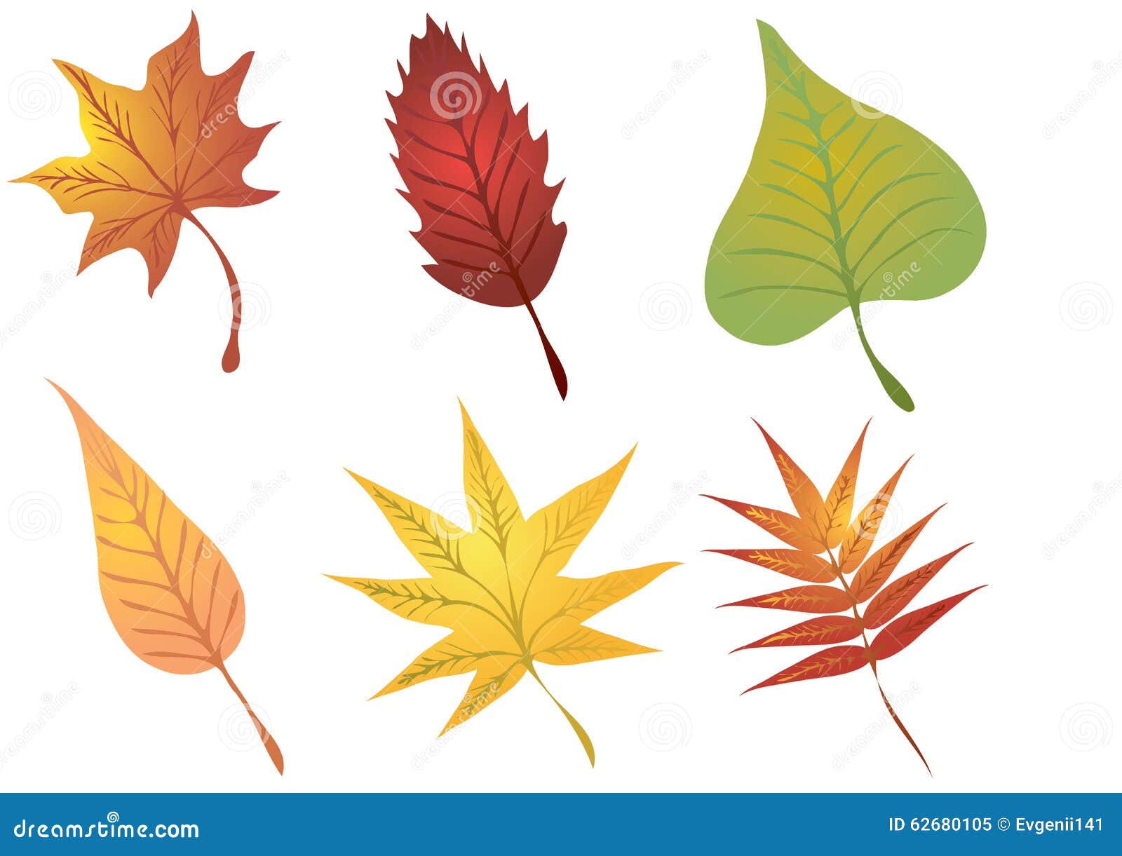 Set of autumn leaves. stock illustration. Illustration of white - 62680105