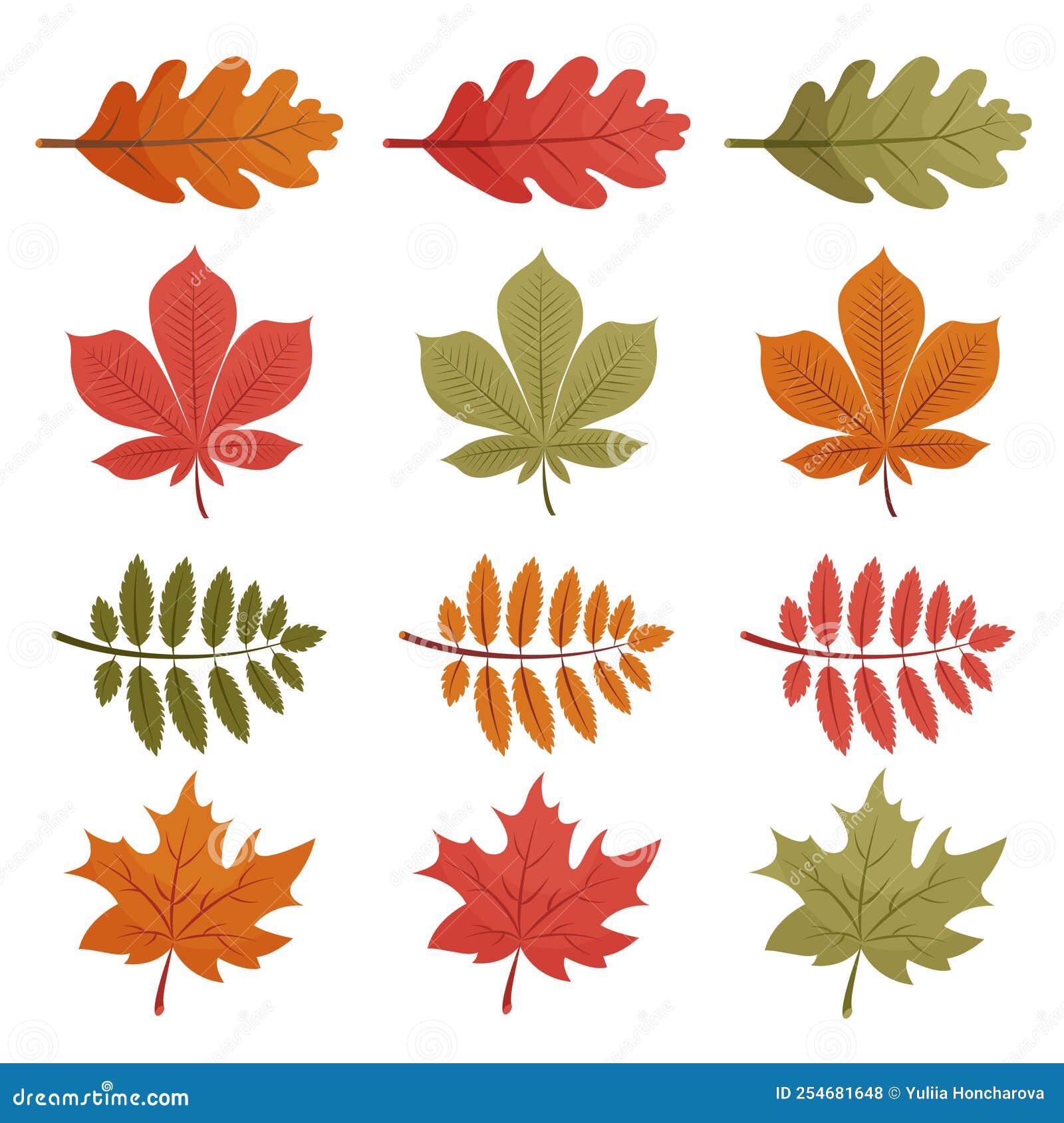 Set Of Autumn Leaves Isolated On A White Background Stock Vector