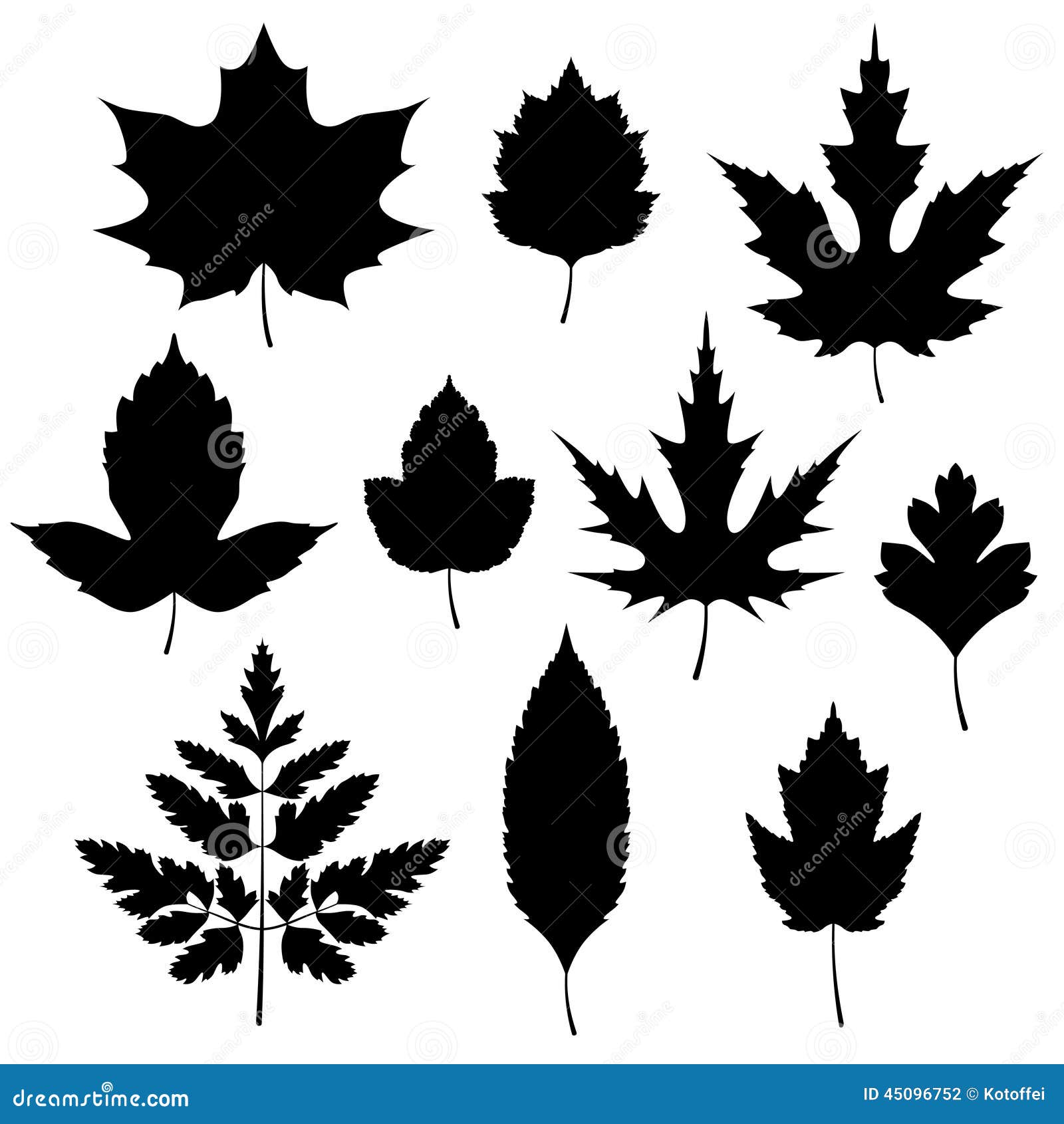 Set of Autumn Leaves Silhouettes. Stock Vector - Illustration of forest ...