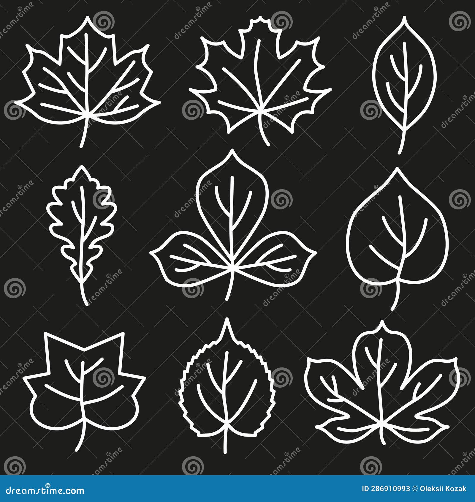 Set of Autumn Leaves Thin White Line. Autumn Leaves. Autumn Design ...