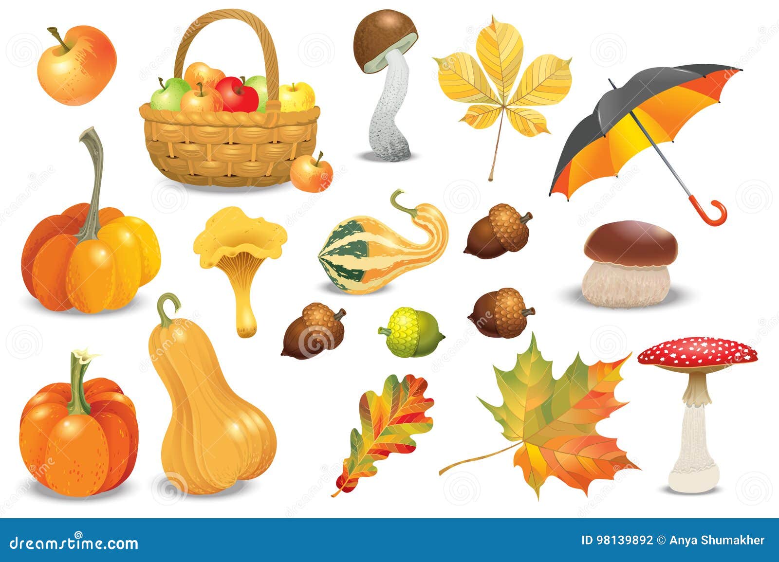 Set Of Autumn Objects Pumpkins Different Types Mushrooms Umbrella