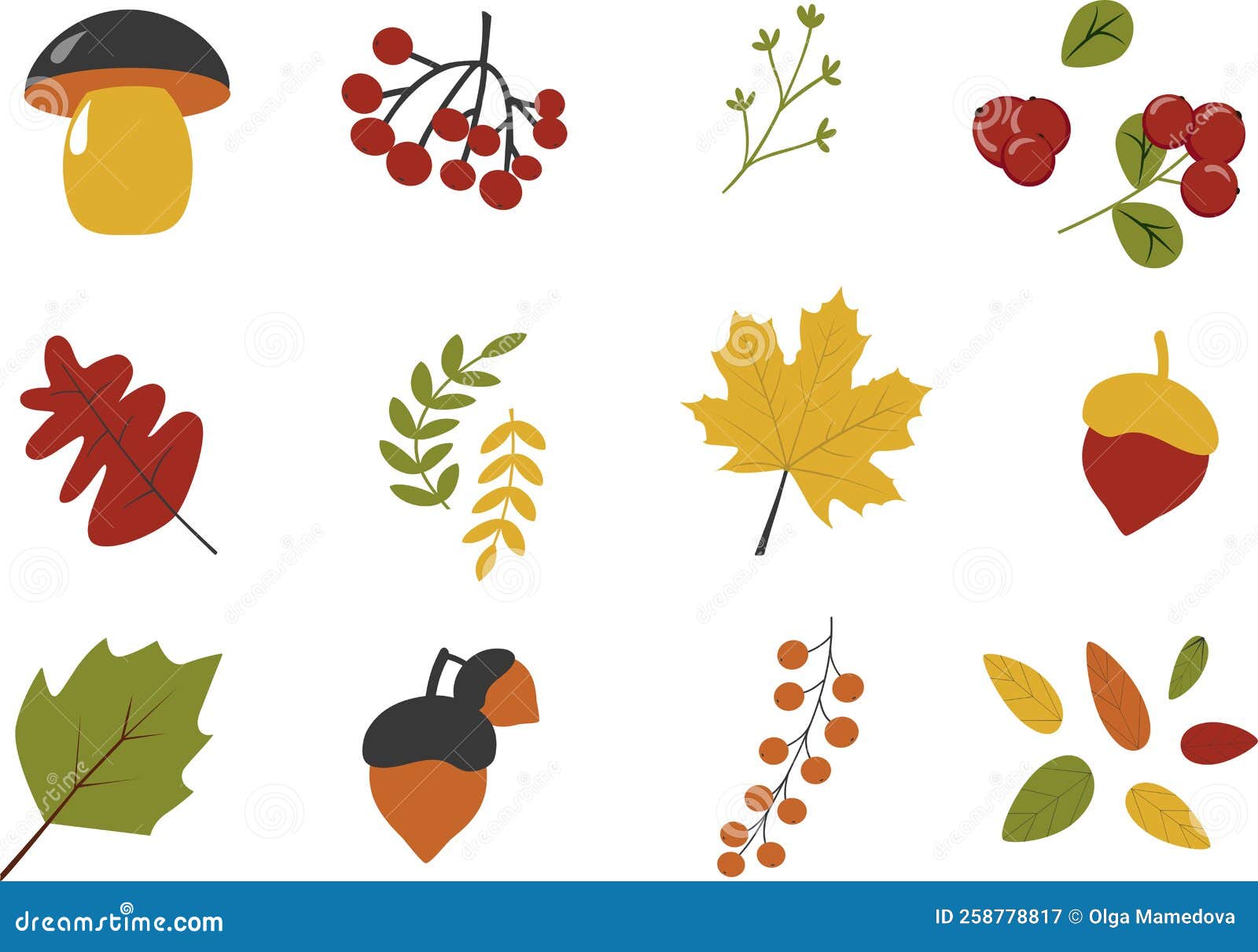 A Set of Autumn Things in a Cute Cartoon Style. Vector Illustration of ...