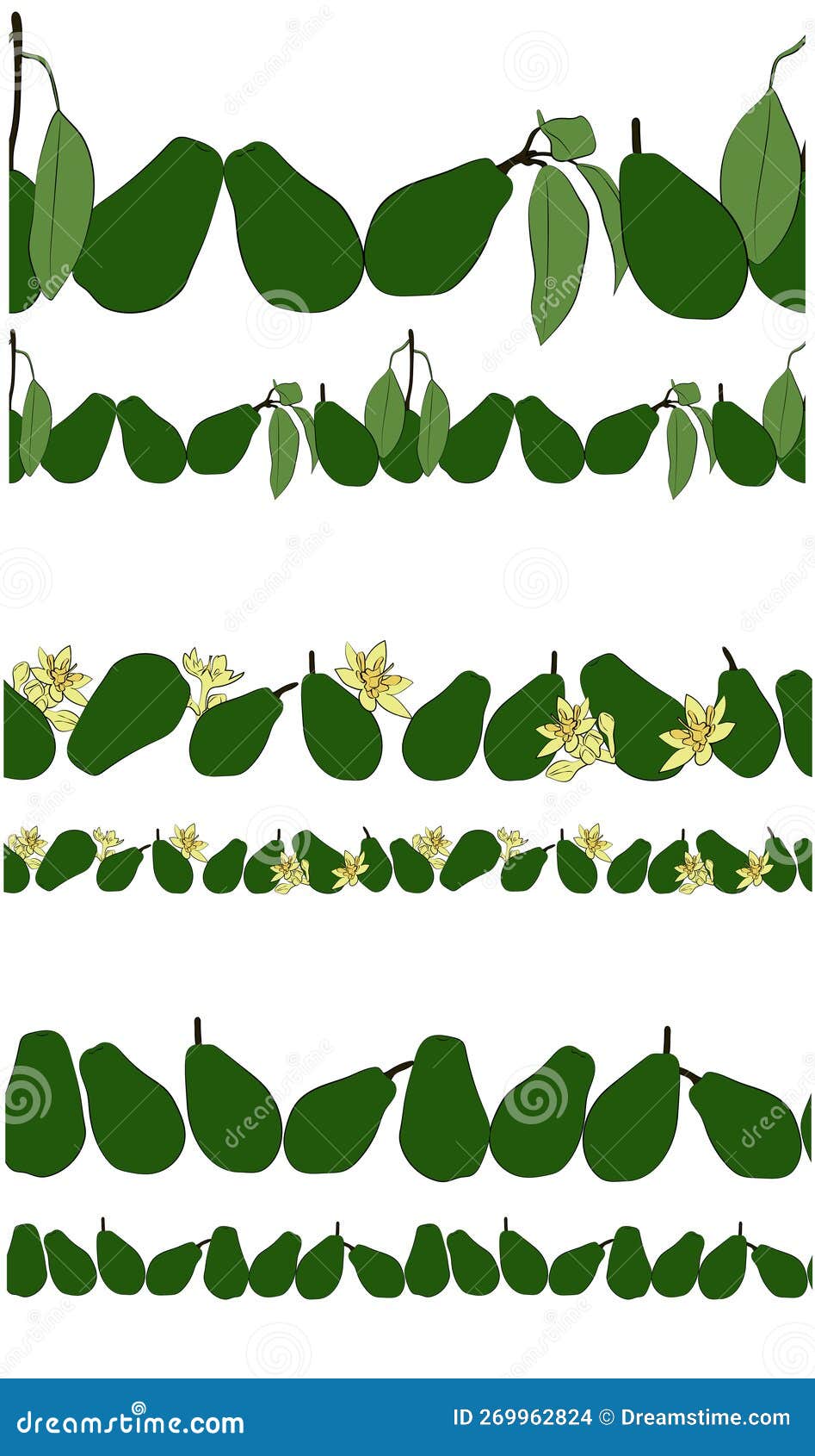 Set of Avocado Line. Seamless Borders with Avocado, Leave and Flowers ...