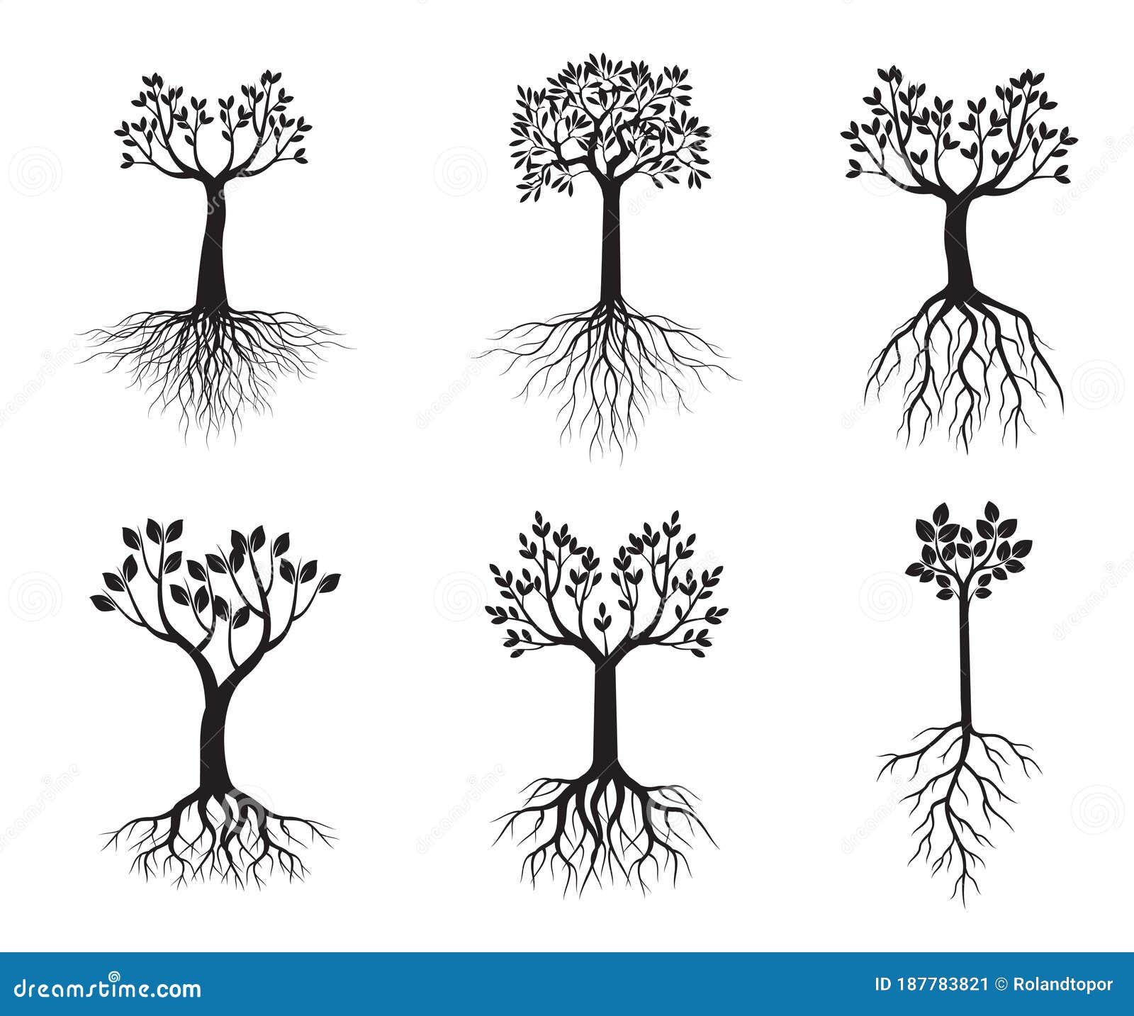 Set Back Trees with Roots. Vector Outline Illustration. EPS File Stock ...