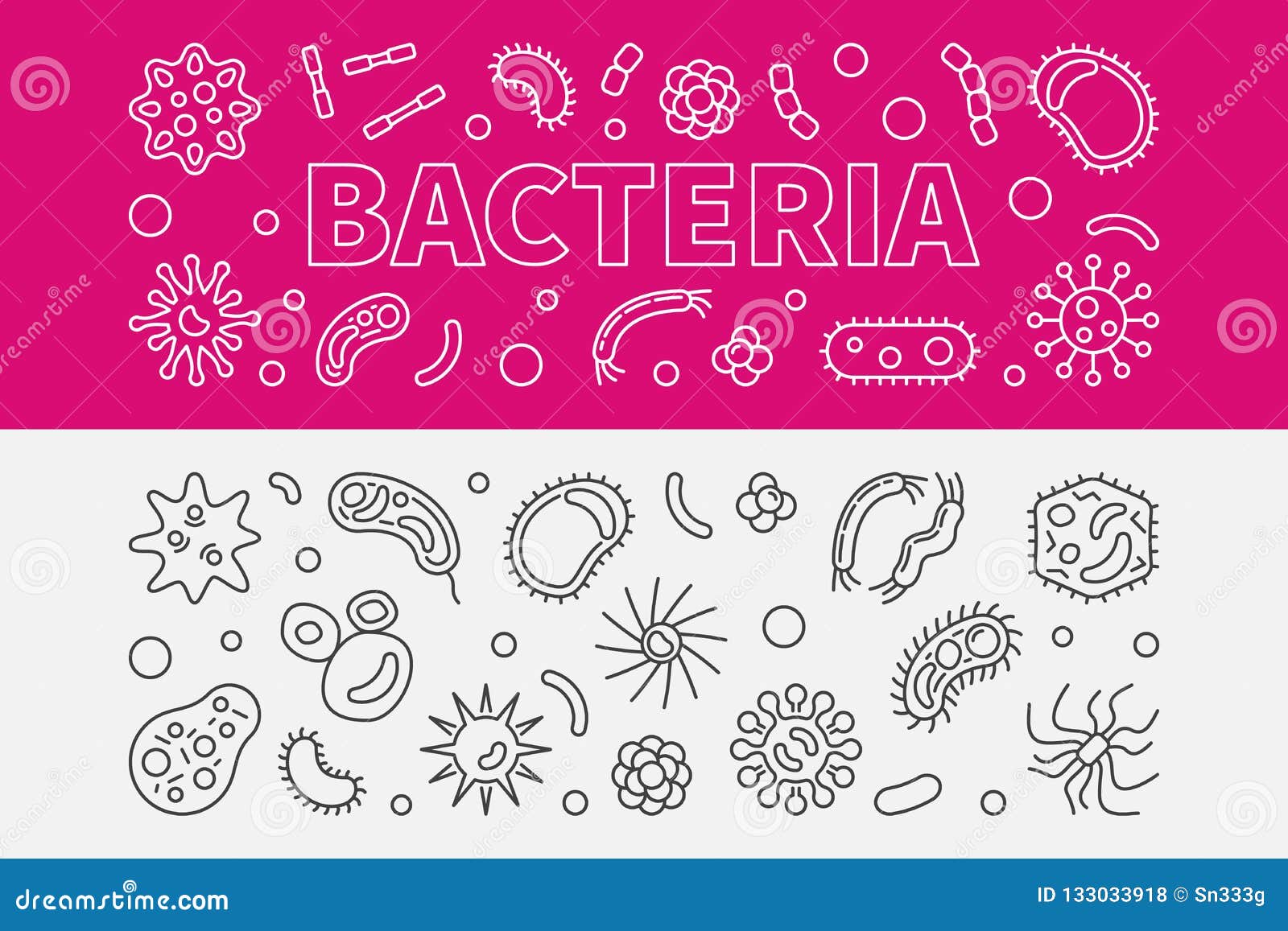 Set of 2 Bacteria Outline Banners. Vector Illustration Stock Vector ...