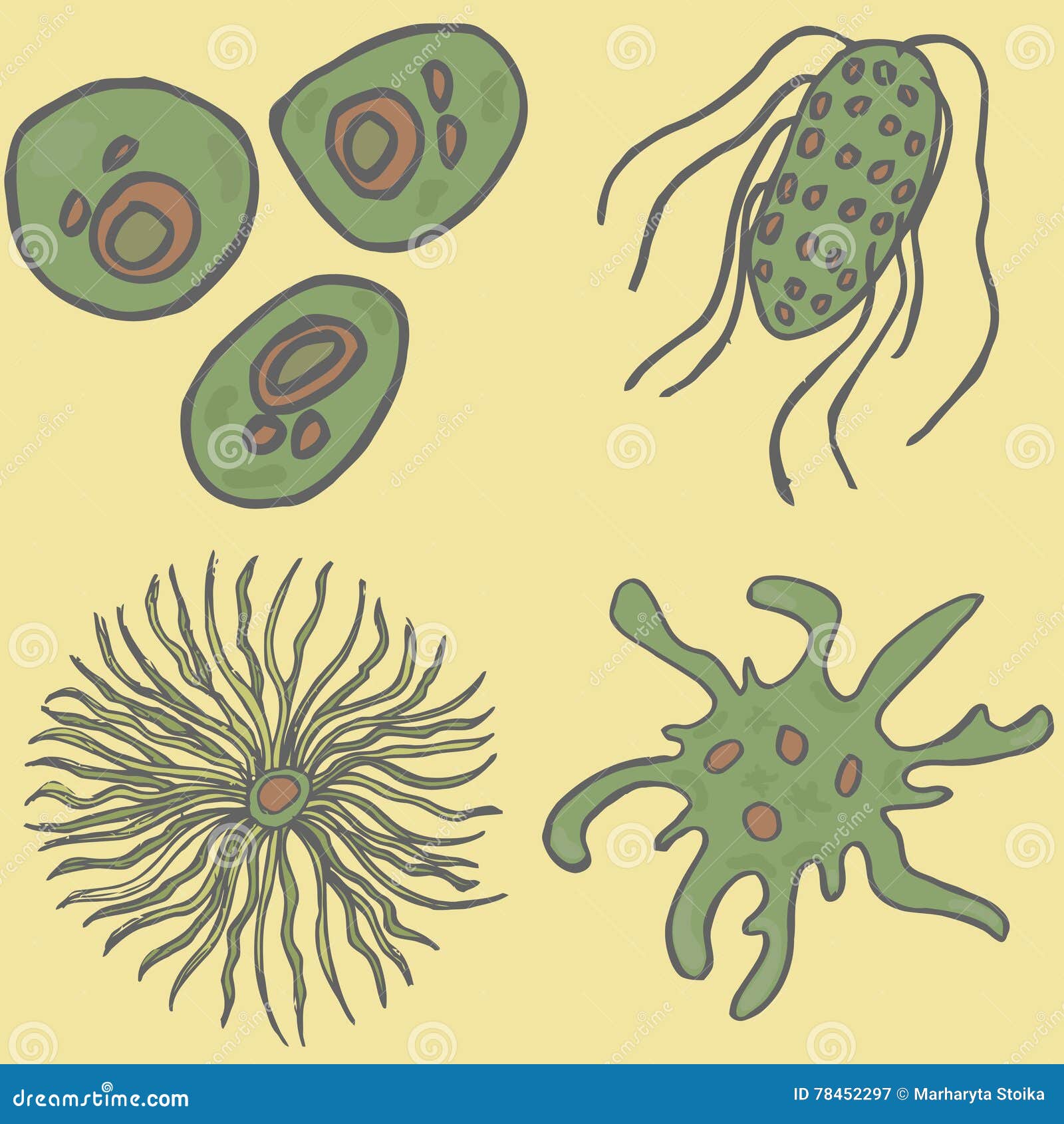 Set of Bacteria. Vector Bacterium. Virus. Stock Vector - Illustration ...