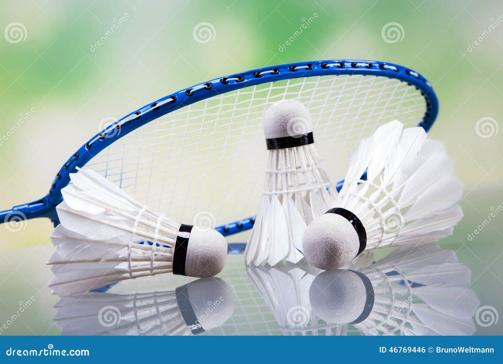 A Set of Badminton. Paddle and the Shuttlecock Stock Photo - Image of ...