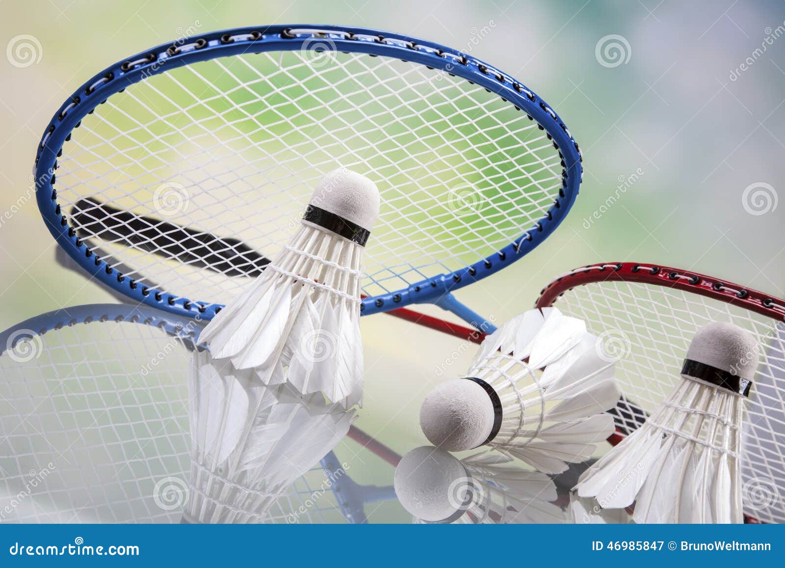A Set of Badminton. Paddle and the Shuttlecock Stock Image - Image of ...
