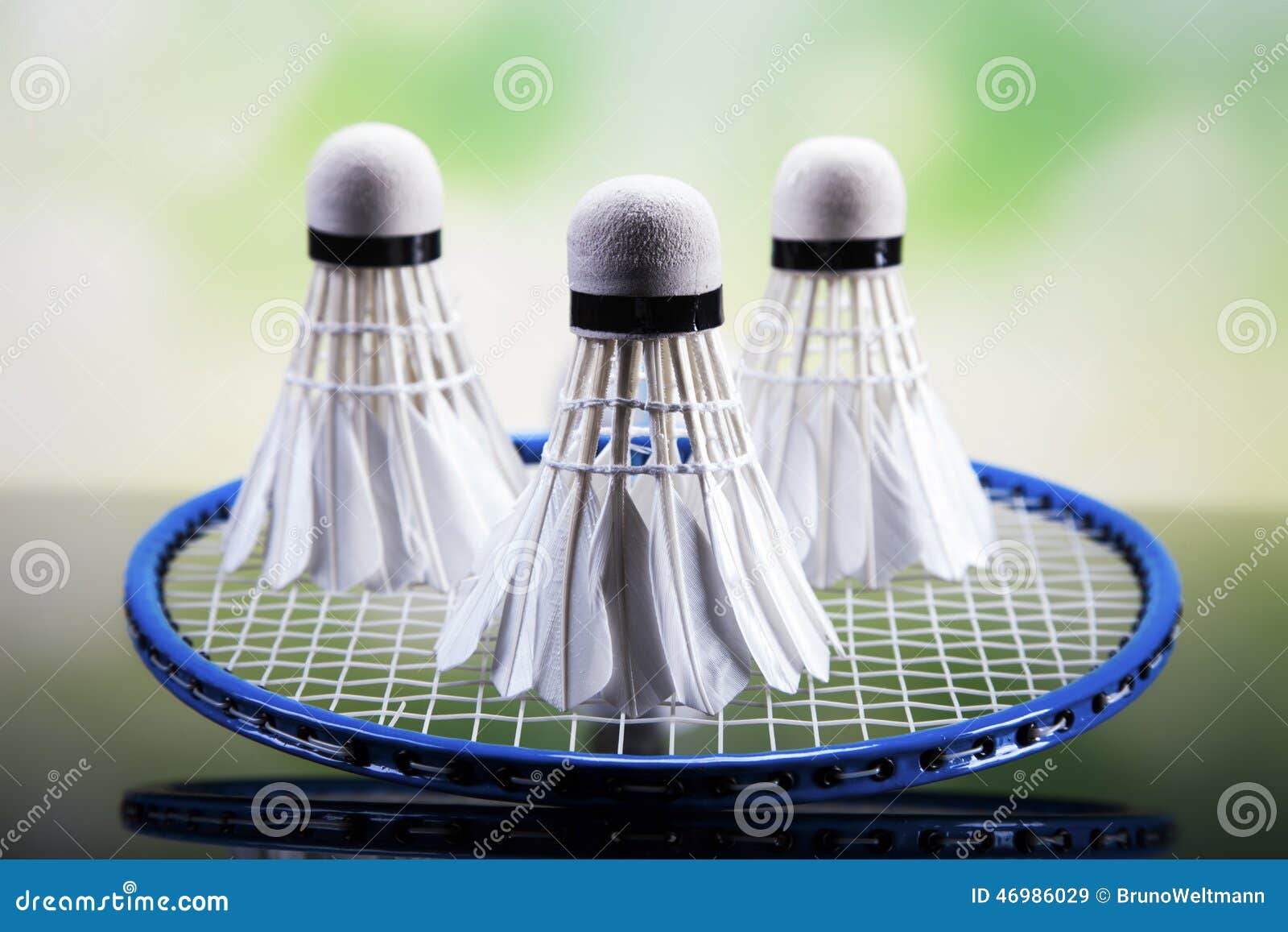 A Set of Badminton. Paddle and the Shuttlecock Stock Image - Image of ...
