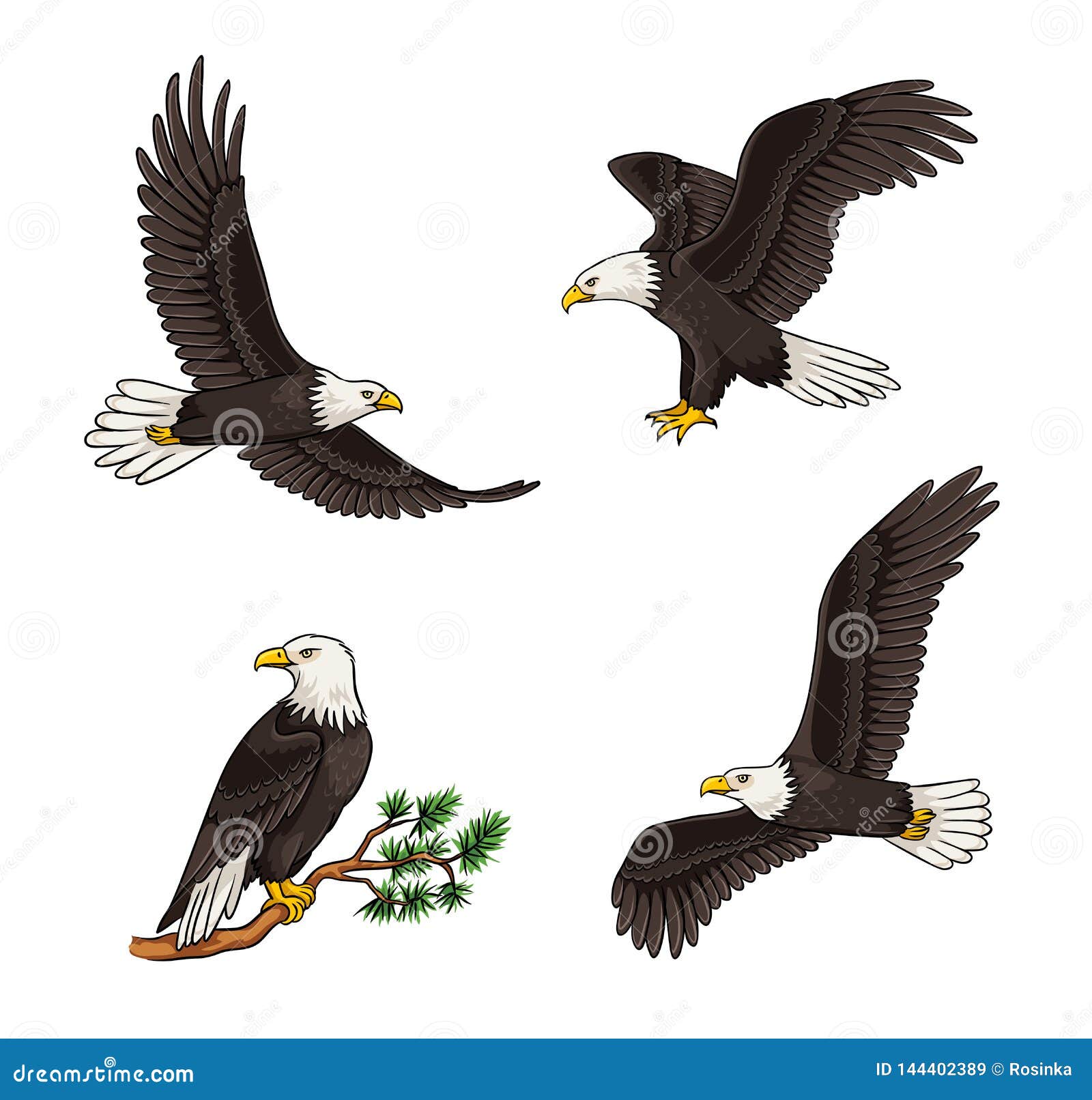 Set of Bald Eagles - Vector Illustration Stock Vector - Illustration of ...
