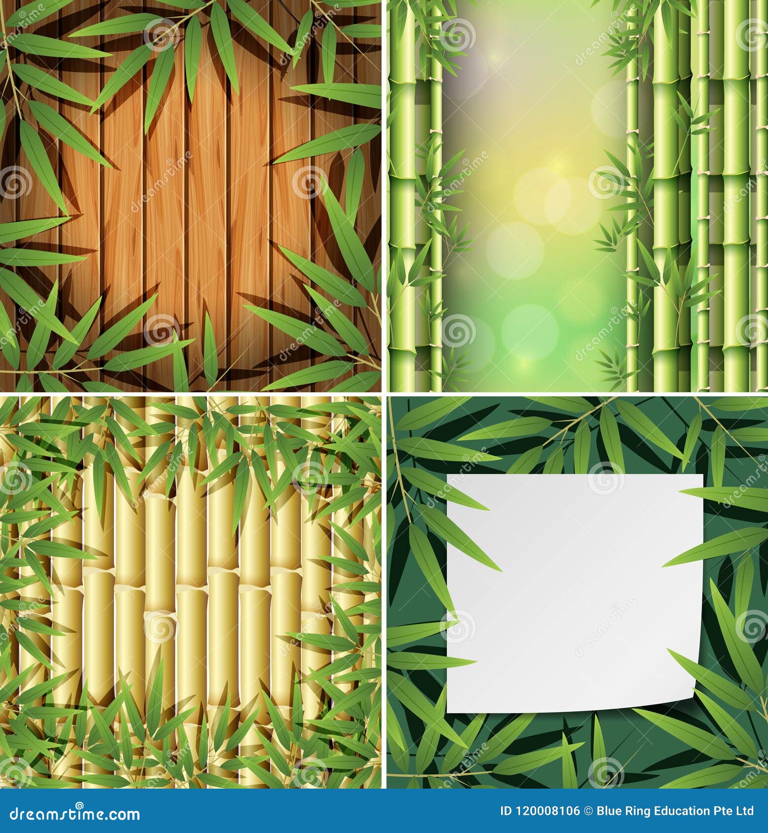 A Set of Bamboo Background stock vector. Illustration of nature - 120008106