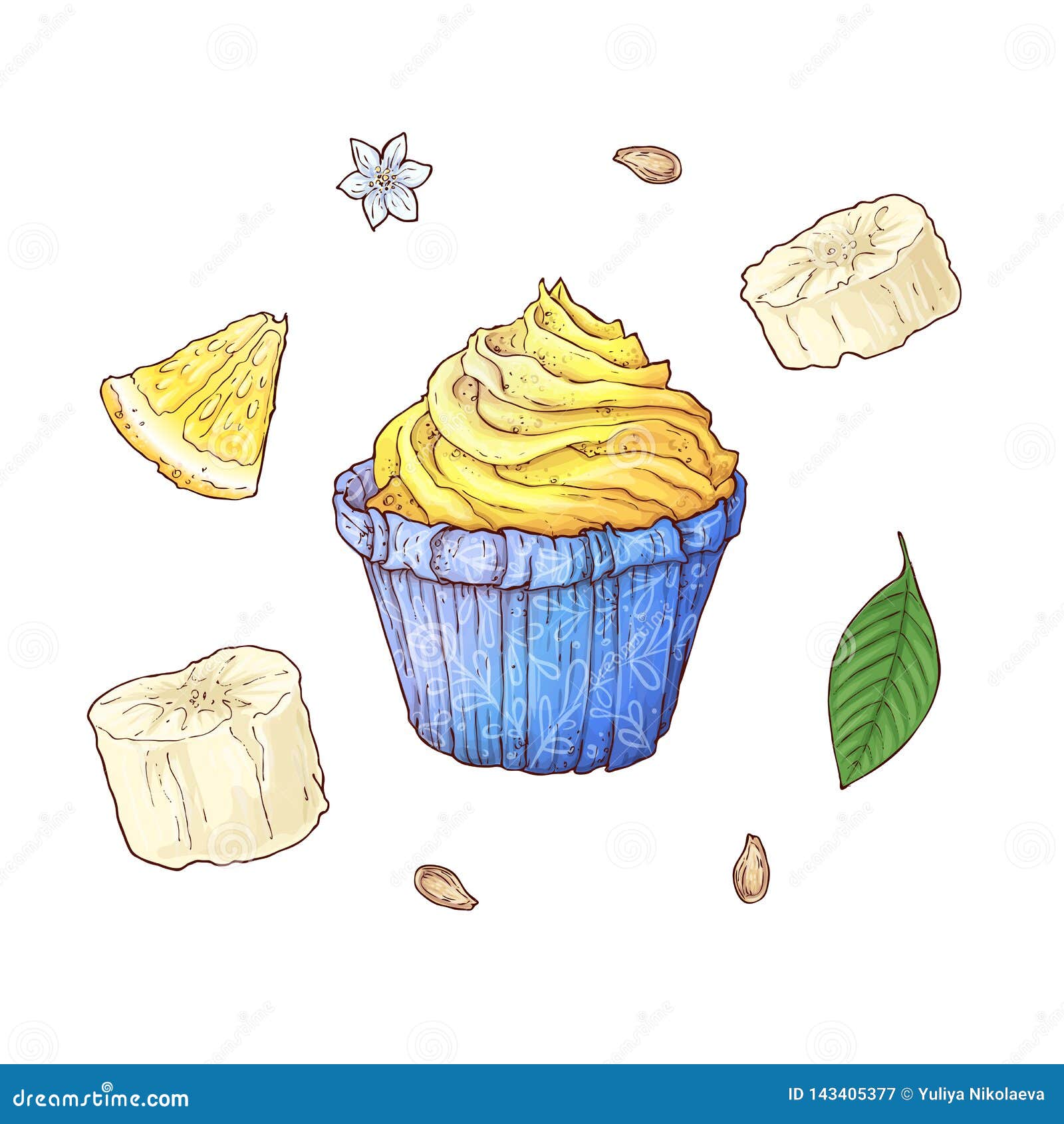 Set of Banana Cupcake. Hand Drawing Vector Illustration Stock Vector ...