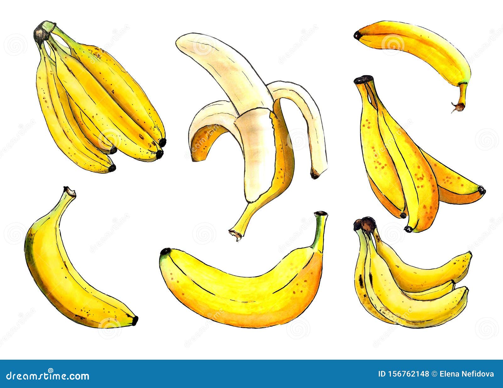 Set of Bananas on White Background. Hand Draw Illustration. Markers ...