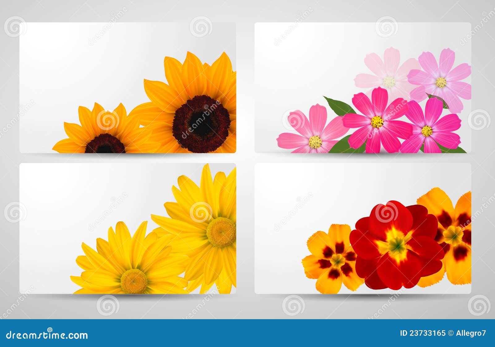 Set of Banners with Different Colorful Flower Stock Vector ...