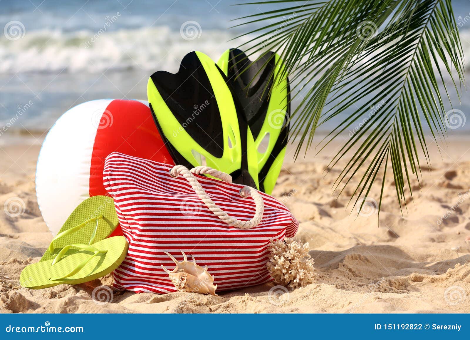 Set of Beach Items on Sand Near Sea Stock Photo - Image of seashore ...