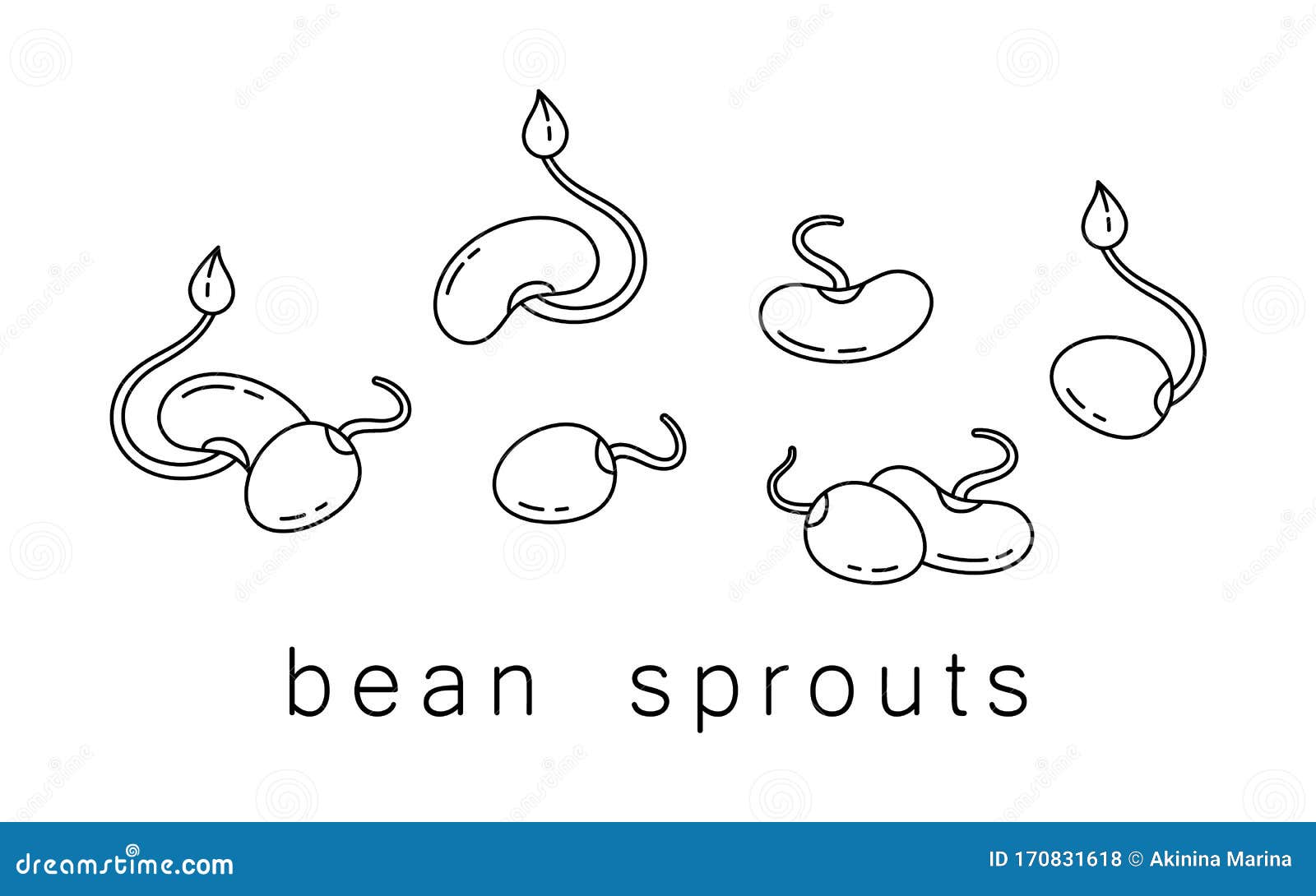 Set Of Bean Sprouts Icon. Thin Line Art Logo Of Sprouted Beans, Soy And ... Set Of Bean Sprouts Icon. Thin Line Art Logo Of Sprouted Beans, Soy And ...